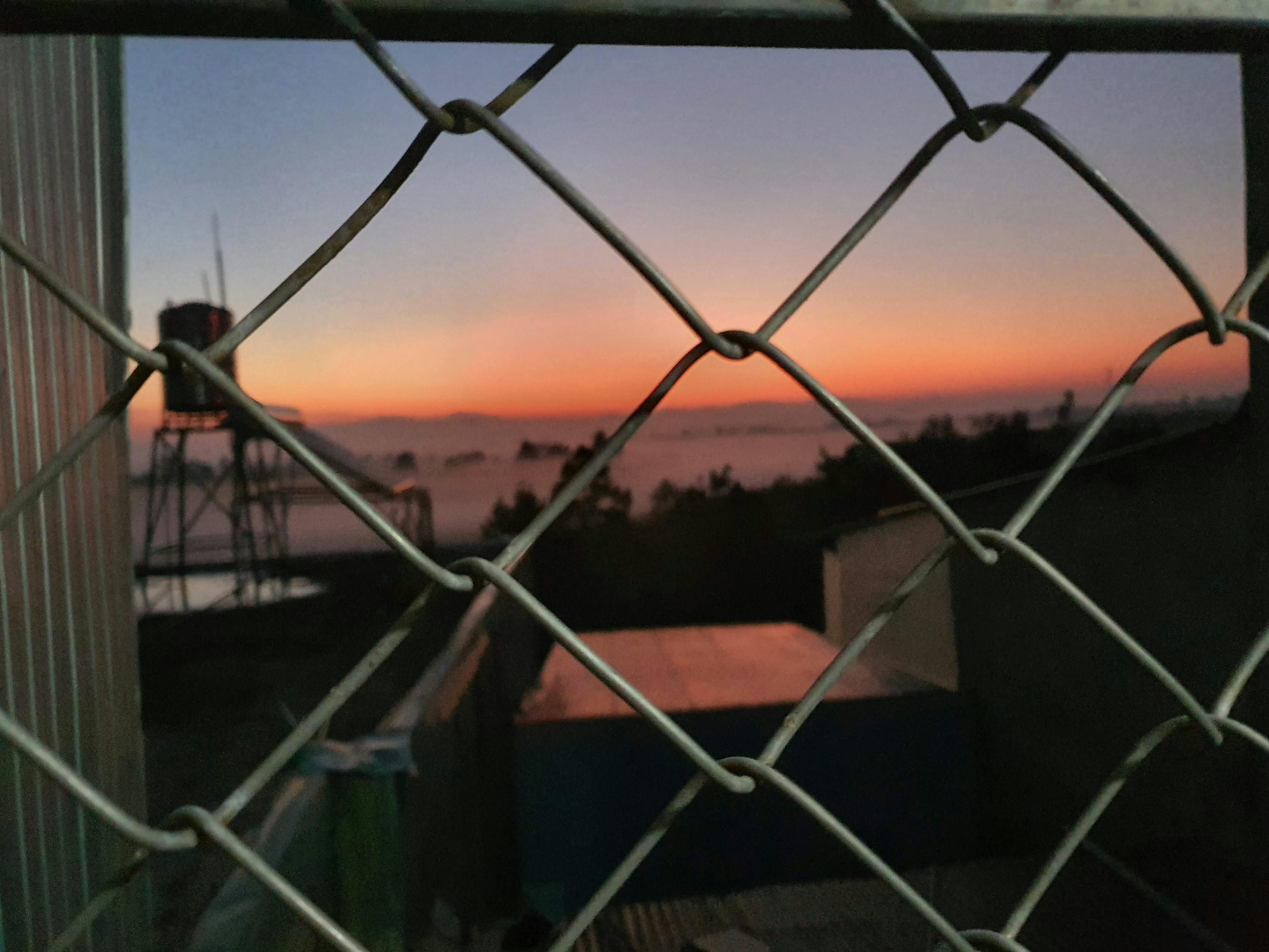 Ethan Nguyen - 사진