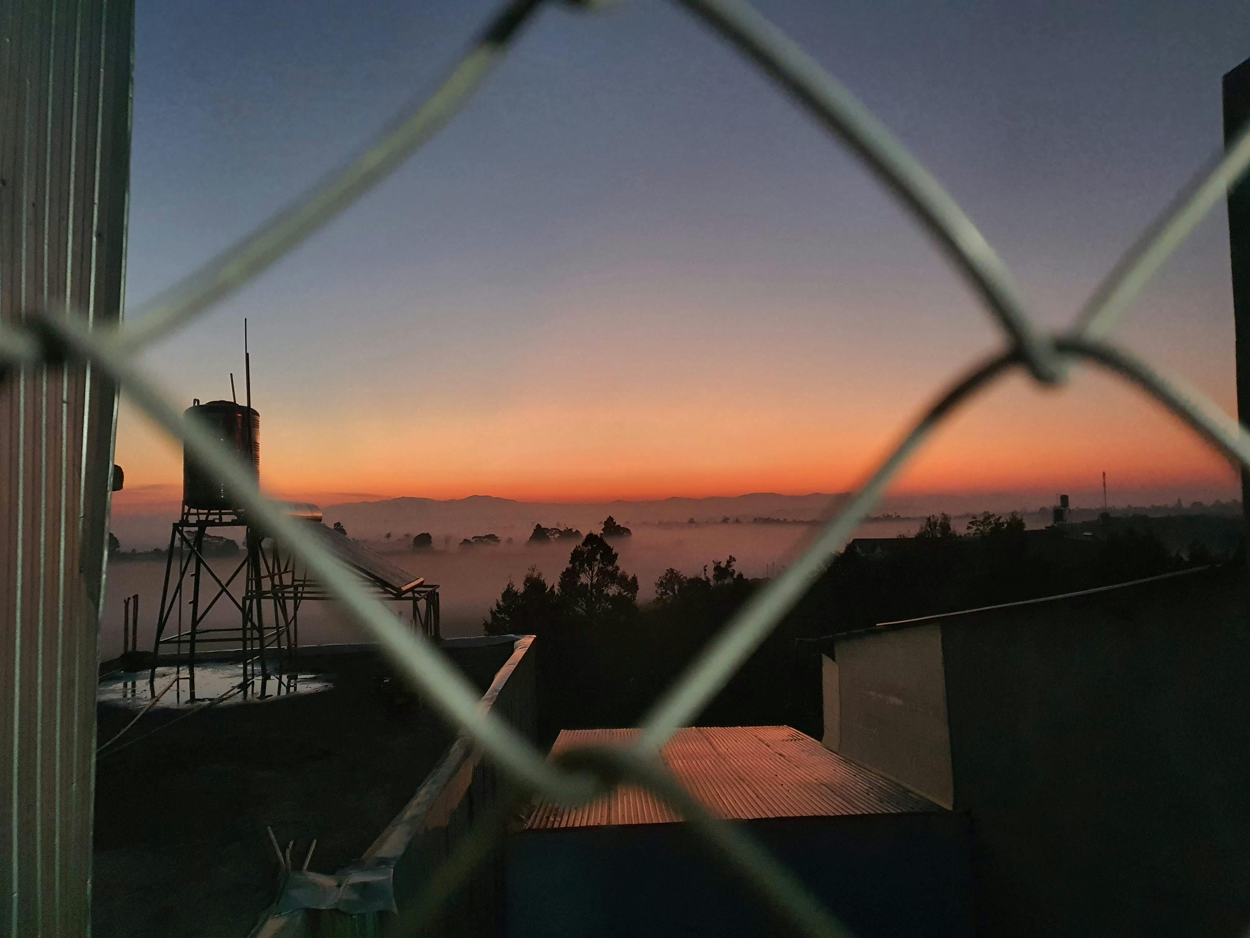 Ethan Nguyen - 사진