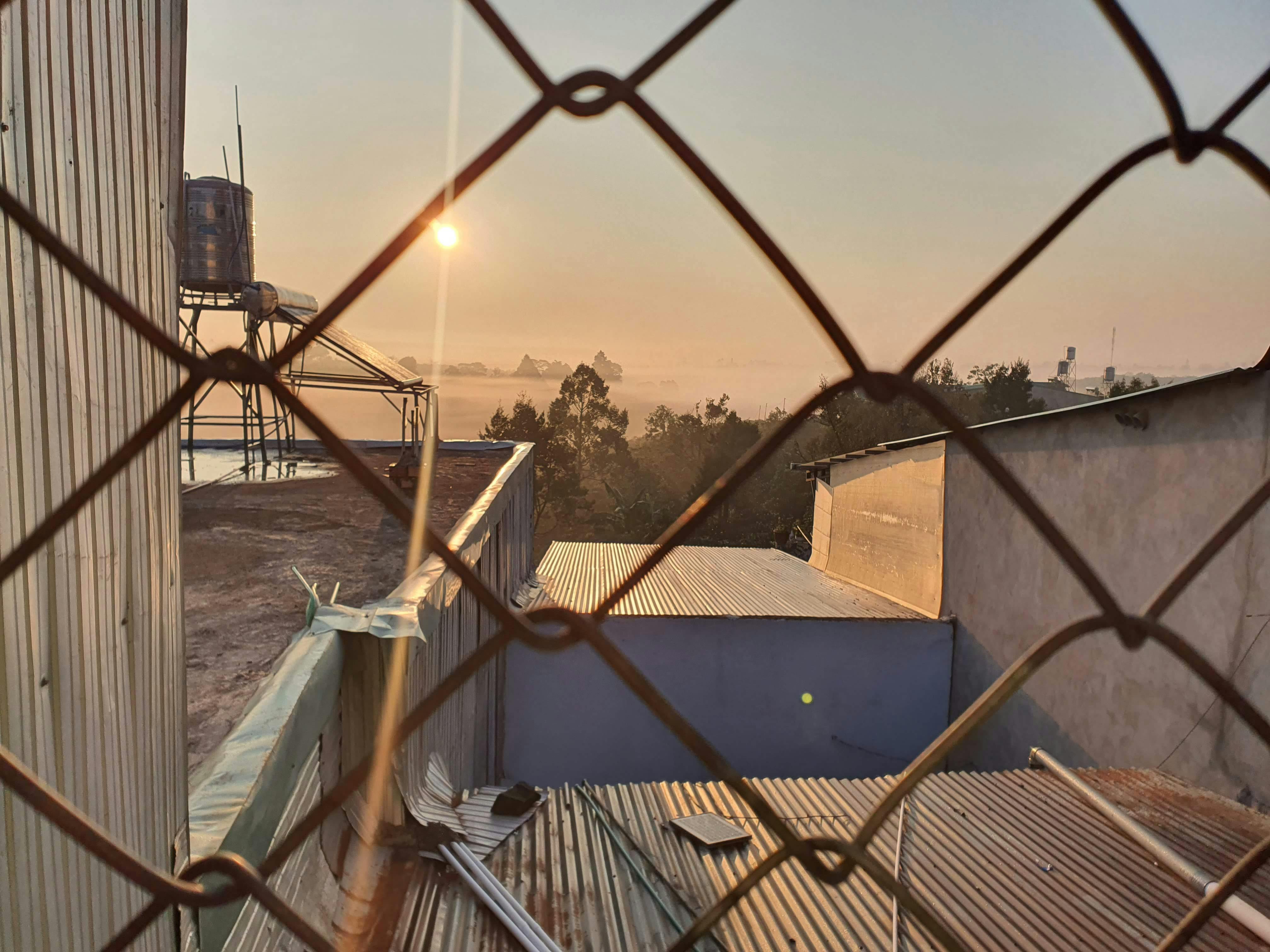 Ethan Nguyen - 사진