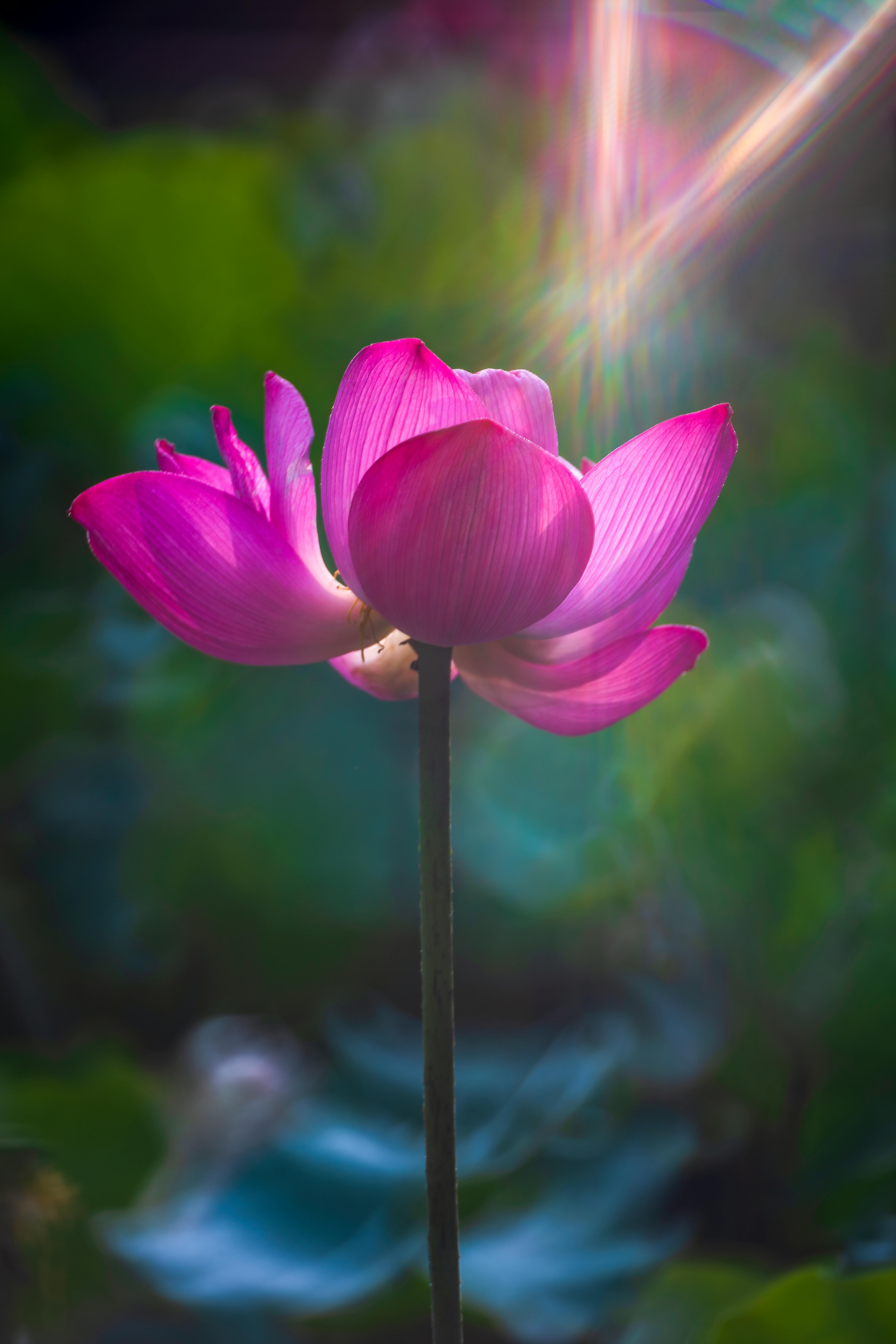 Sanchong District Photos, Download The BEST Free Sanchong District Stock Photos & HD Images