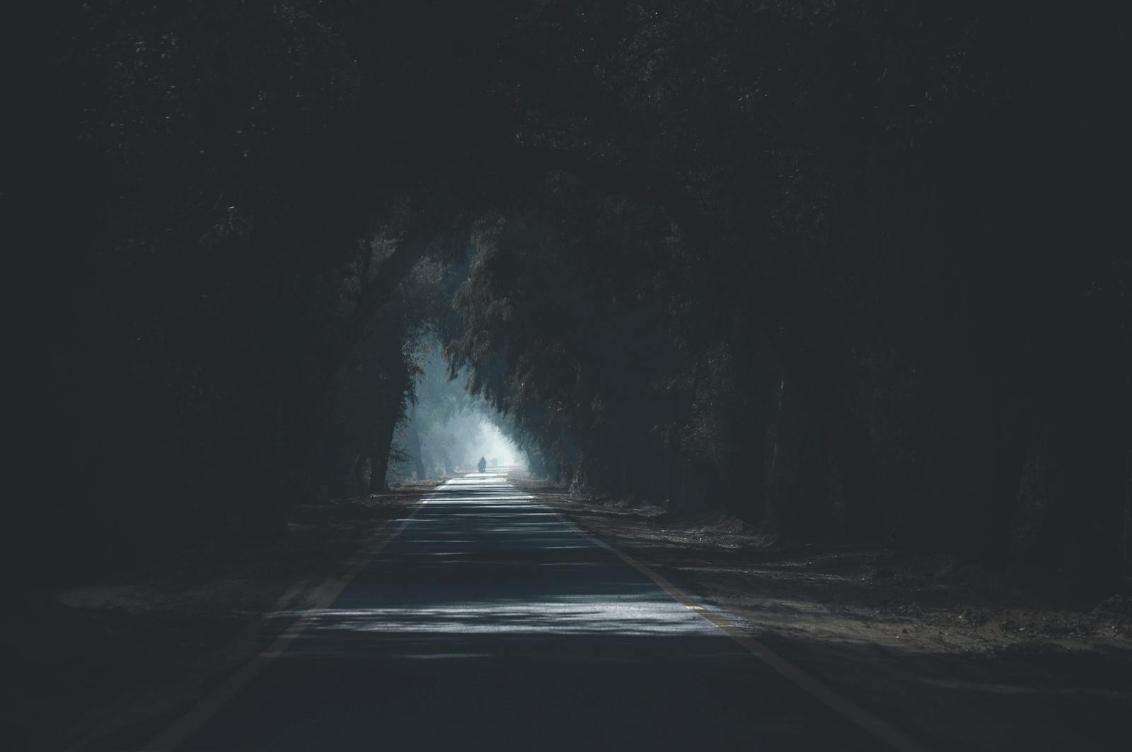 Dark Road Photos, Download The BEST Free Dark Road Stock Photos & HD Images