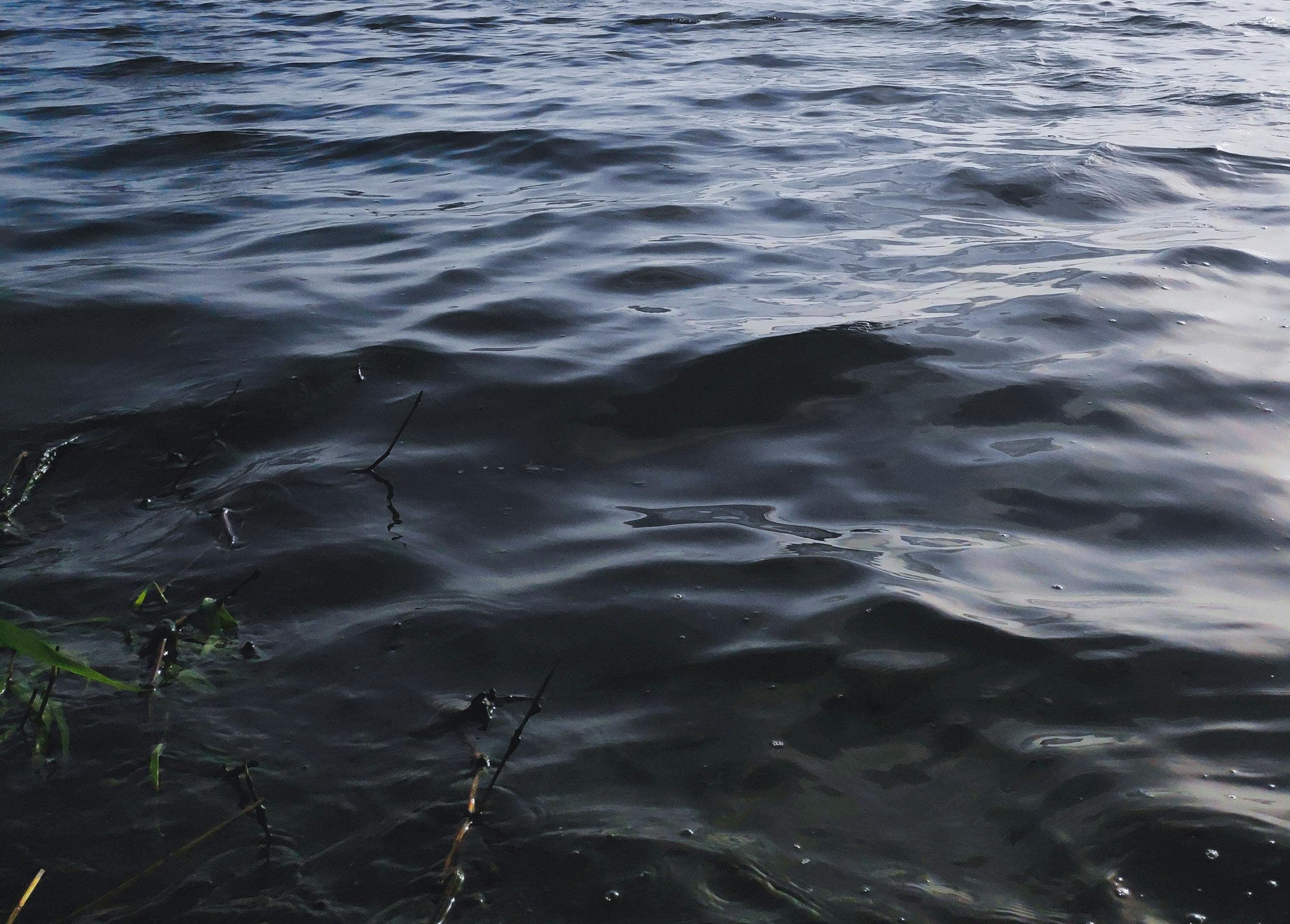 Sunil Ray - Fotografía