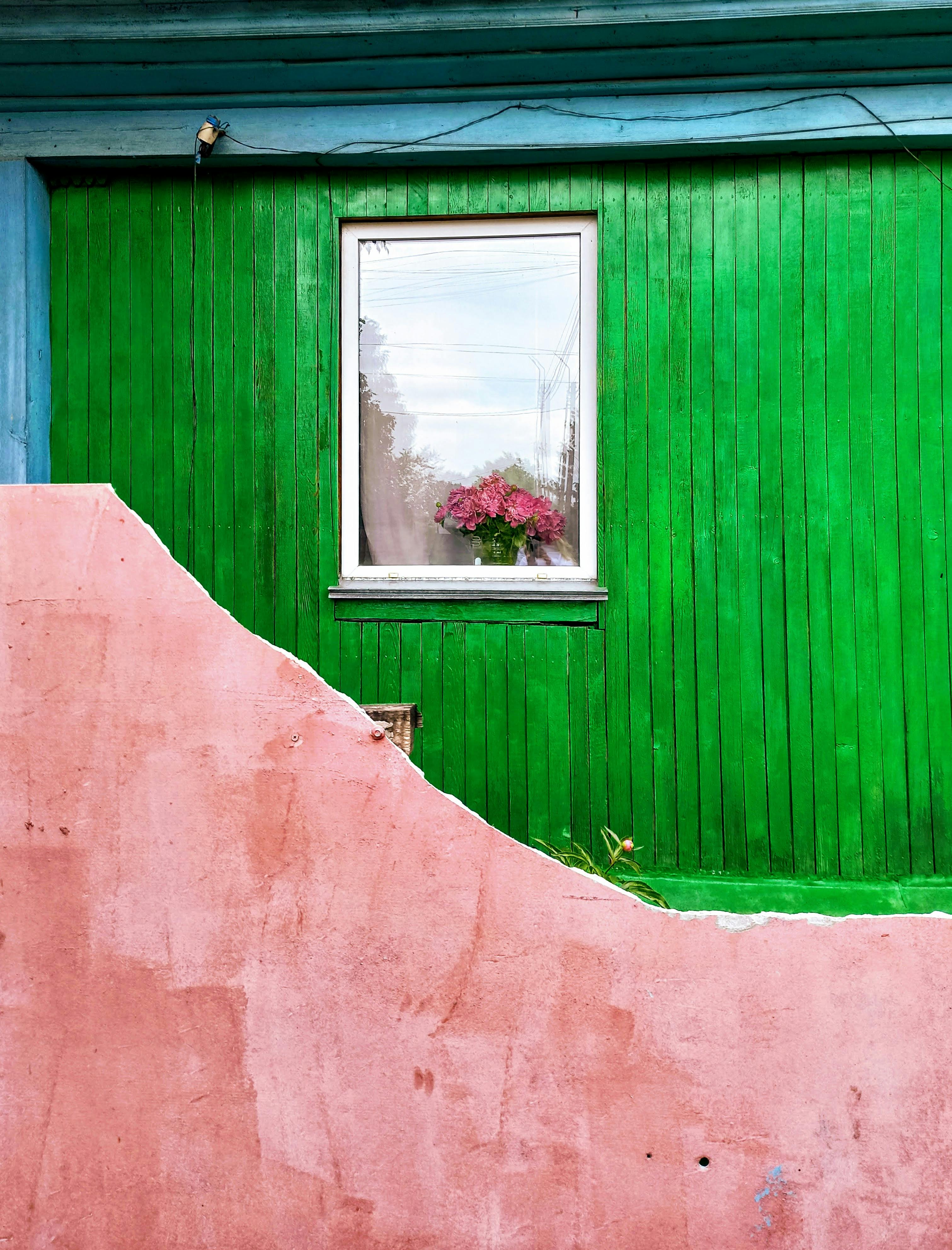 Brown Wooden Window Beside the Green Leaves · Free Stock Photo