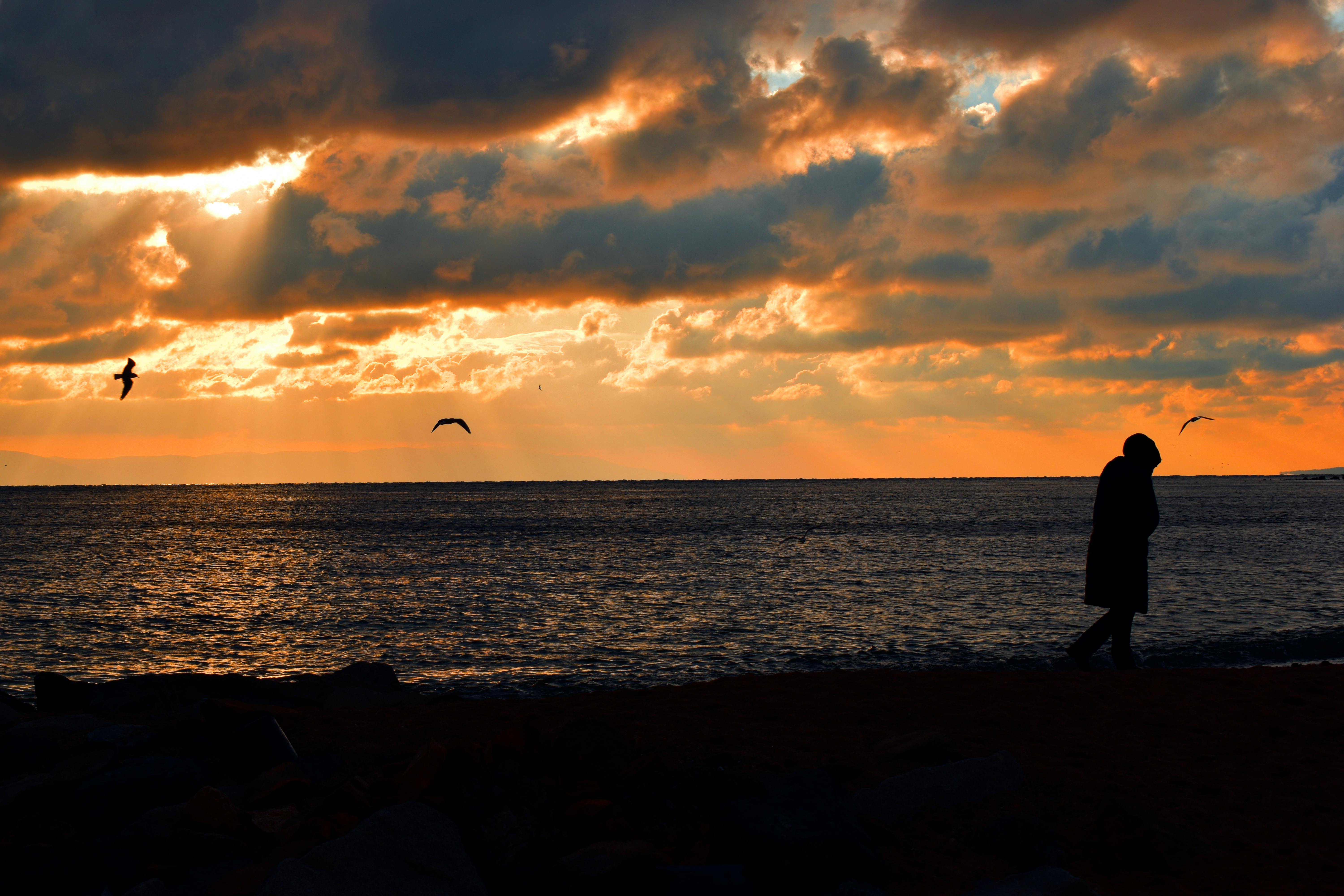 Man Silhouette at Sea Sunset · Free Stock Photo