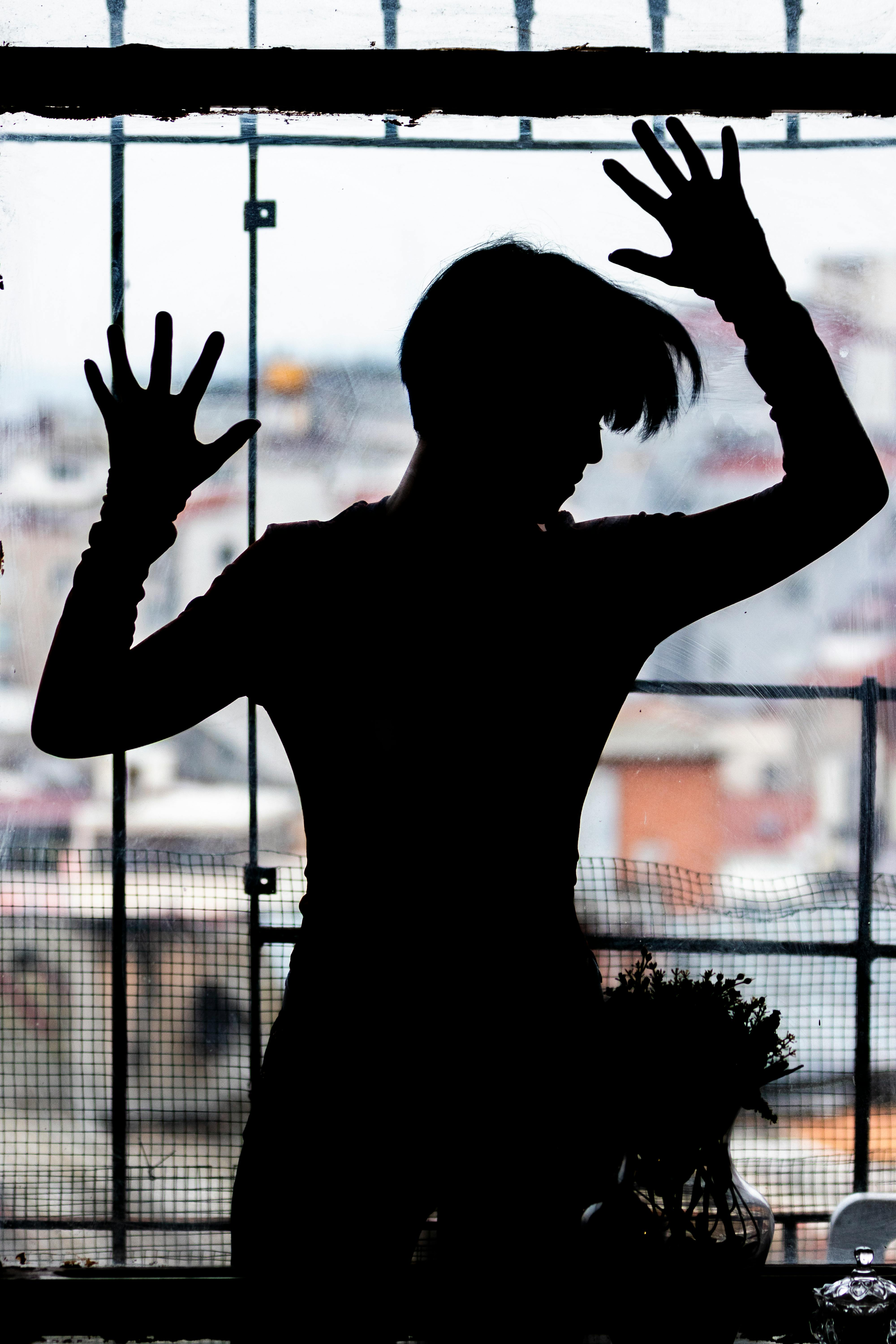 Silhouette of a Person · Free Stock Photo