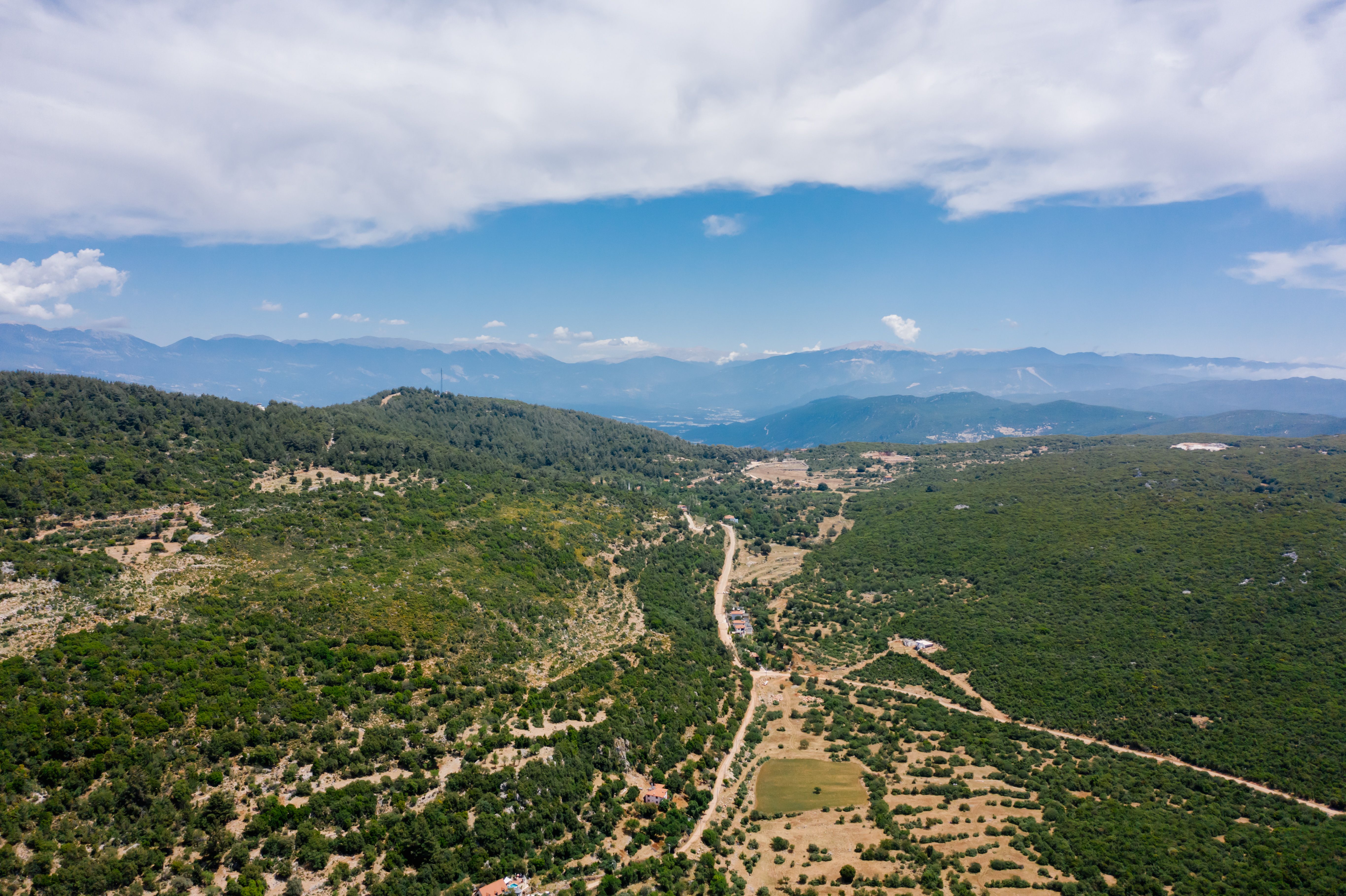Sage Green Landscape Photos, Download The BEST Free Sage Green ...