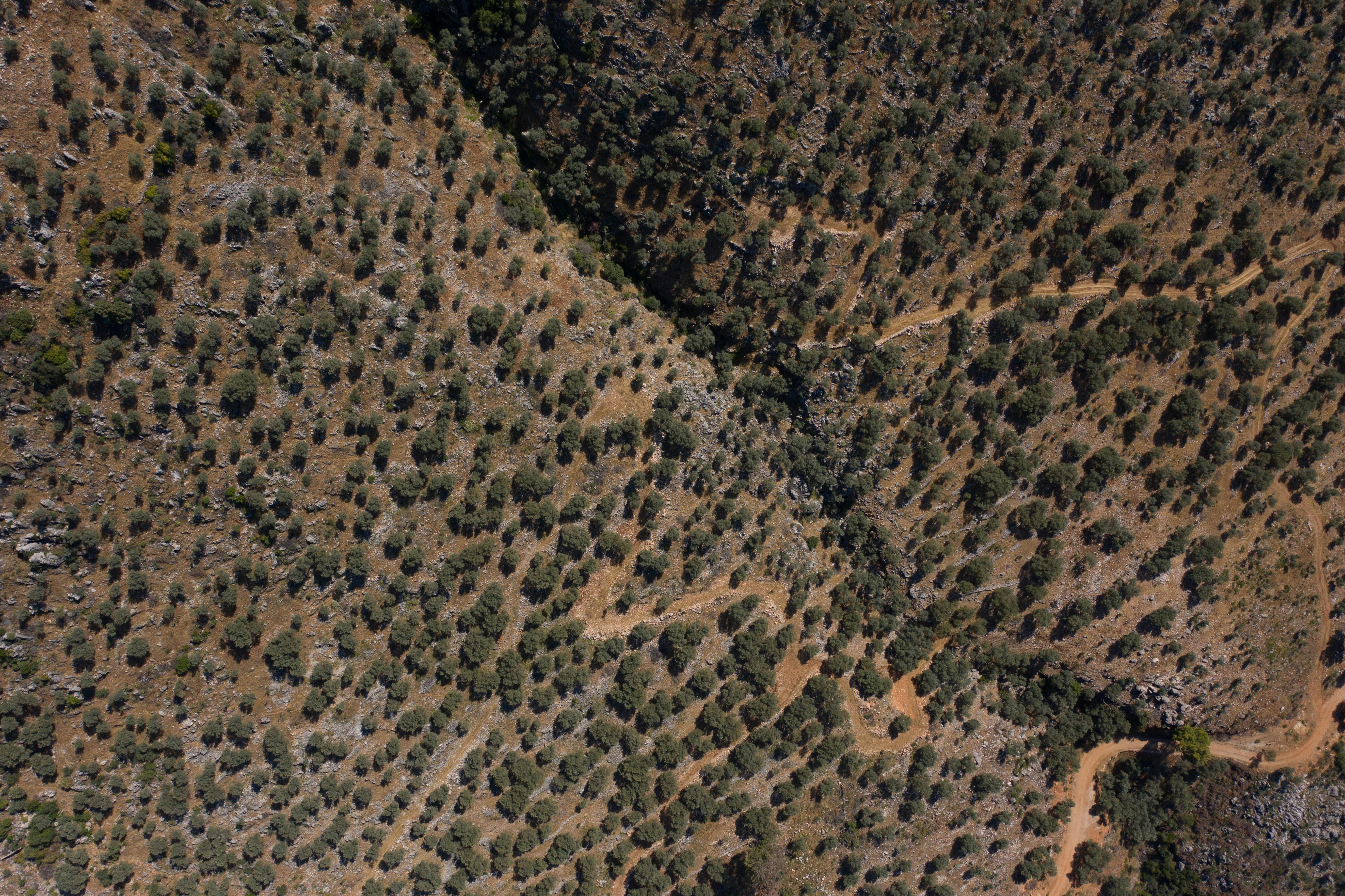 Terrain Patterns Photos, Download The BEST Free Terrain Patterns Stock ...