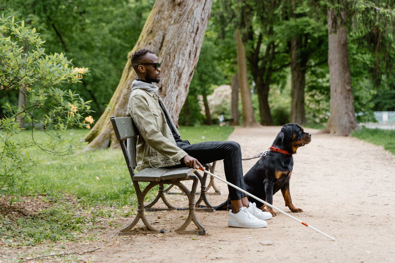 Hearing Dogs for Deaf People: Companion Dogs Transform Lives