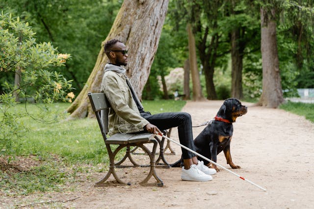 Service Dogs in Public: What Countries Allow Them Everywhere