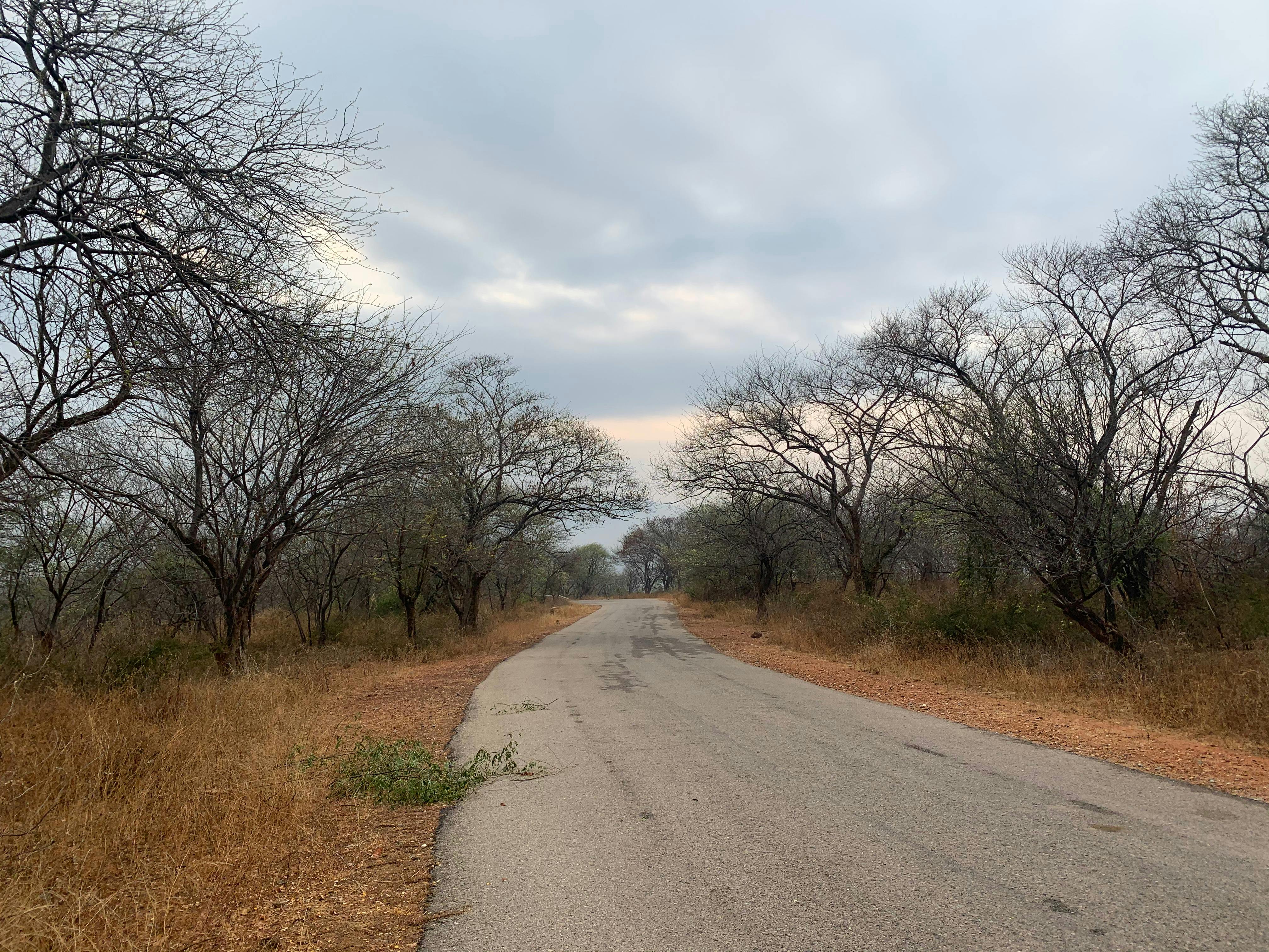 nikhil - Photography