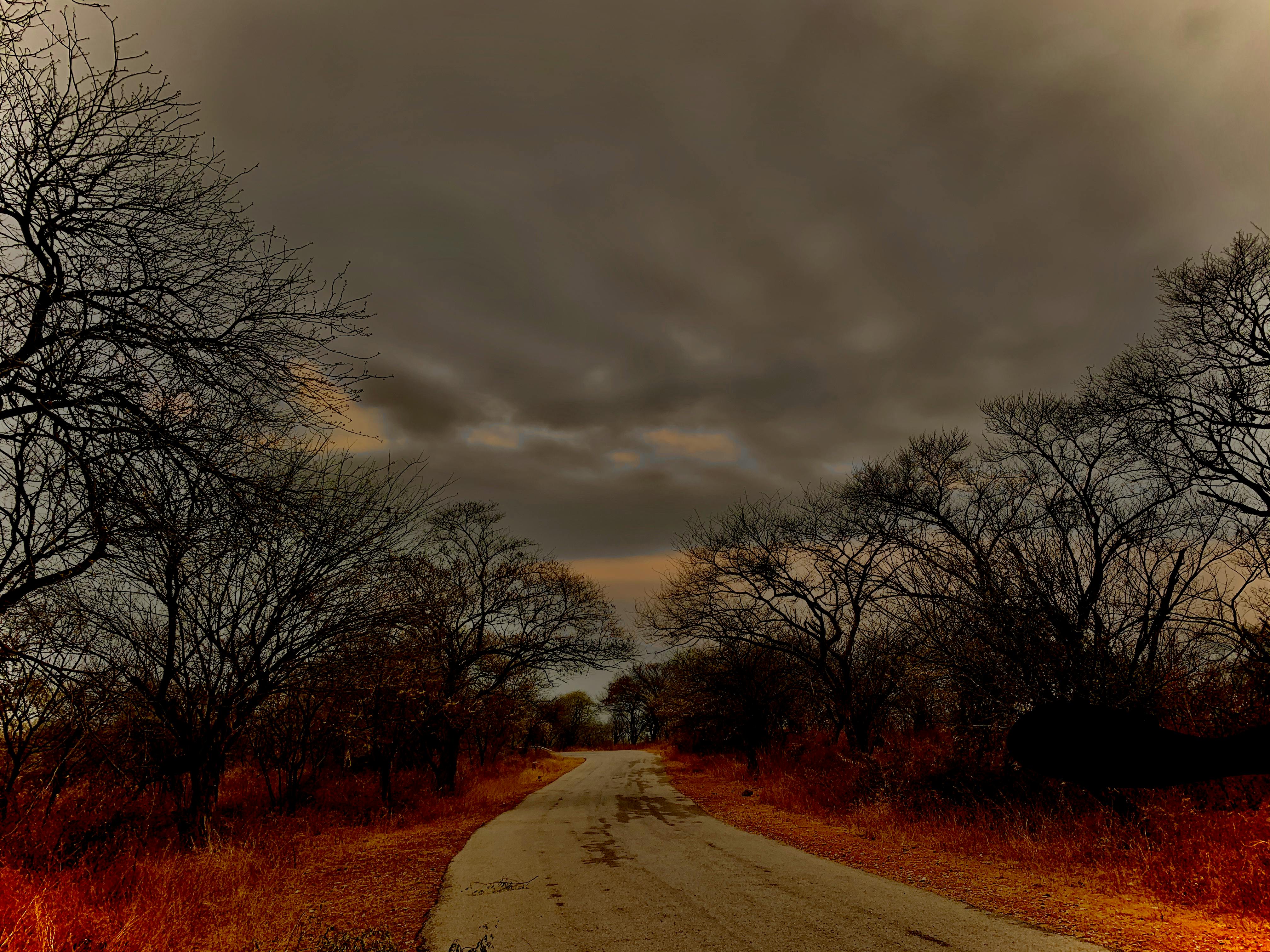 nikhil - Photography