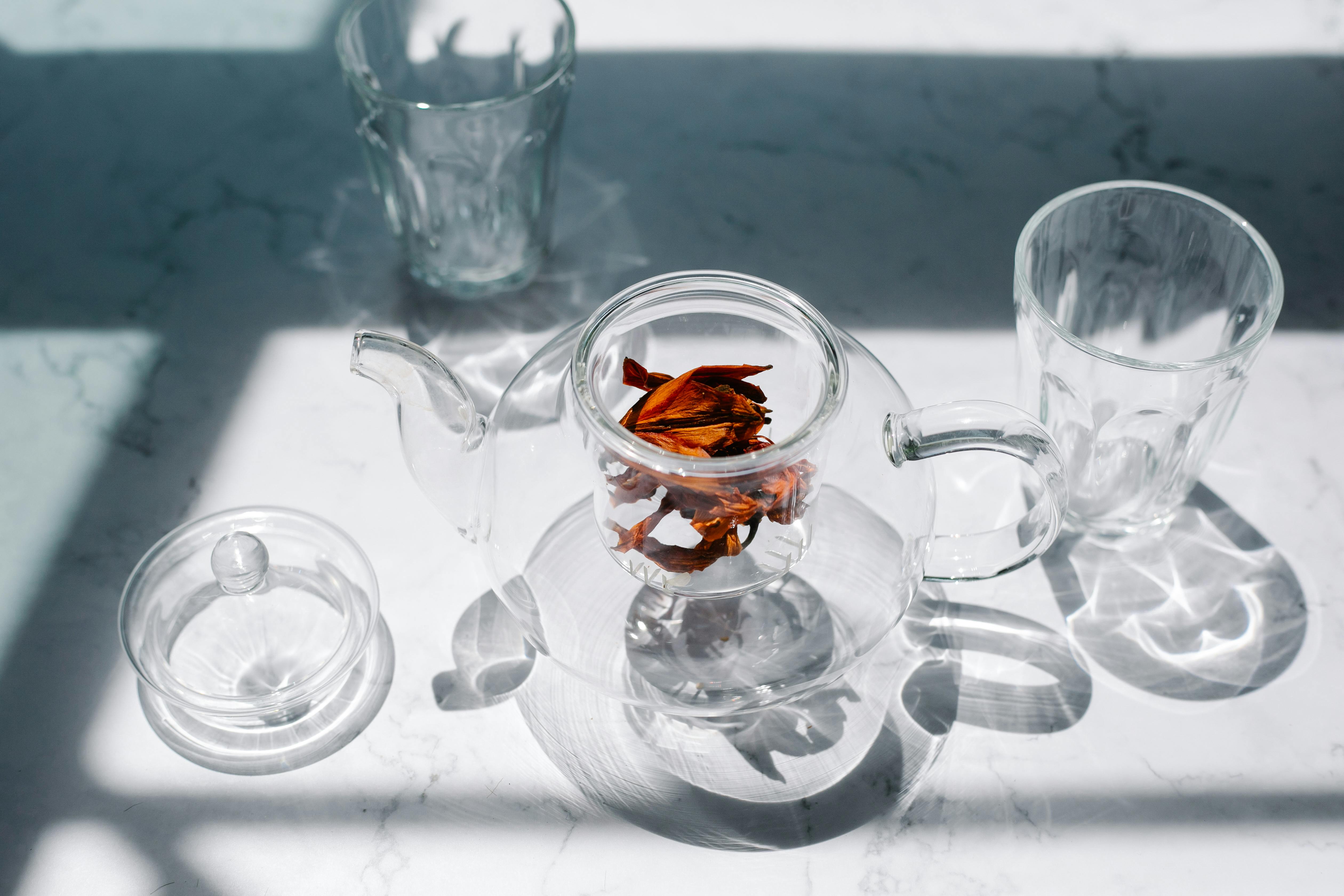 Making Tea in Glass Tableware · Free Stock Photo