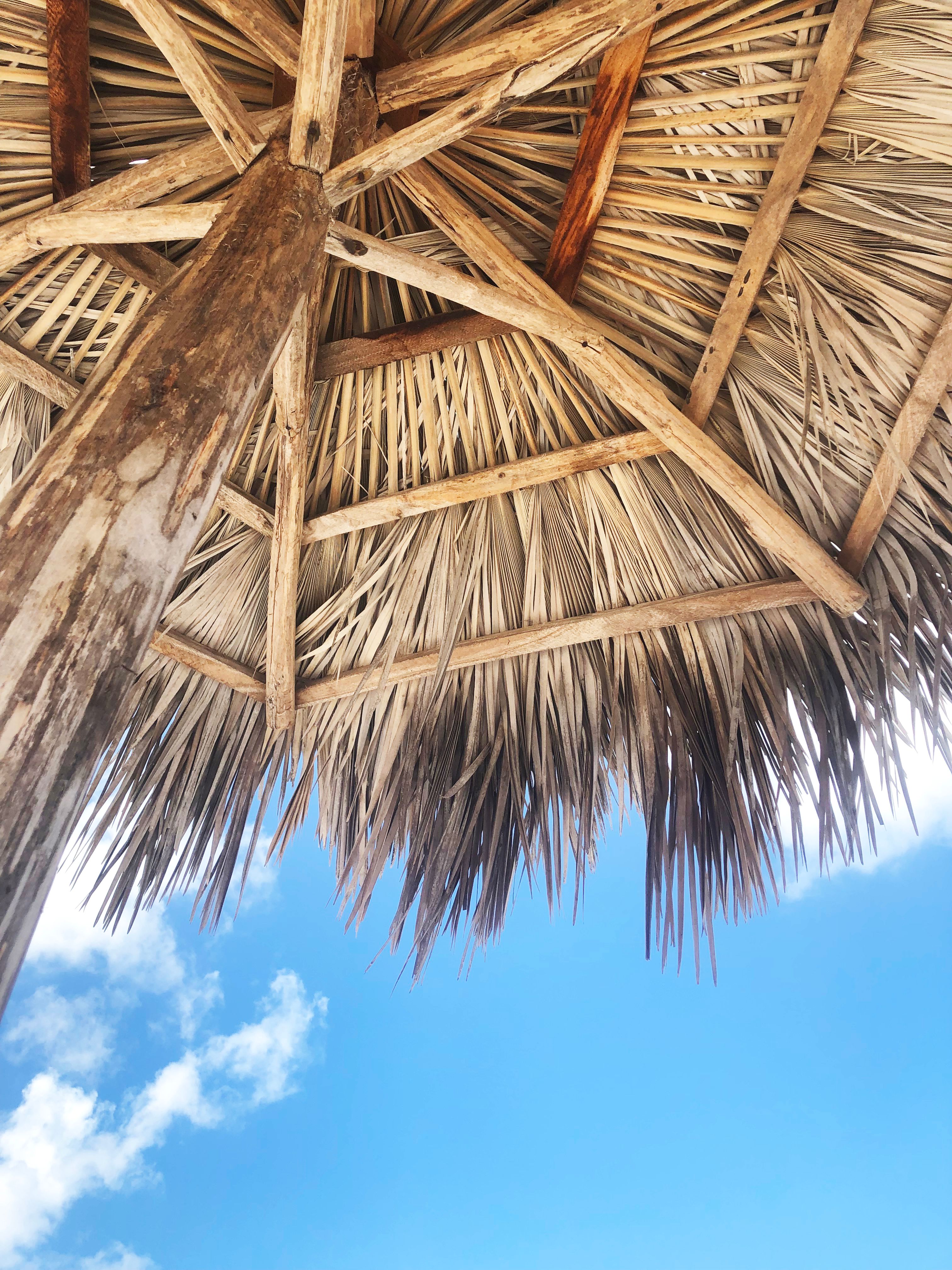 Nipa Huts on the Beach · Free Stock Photo