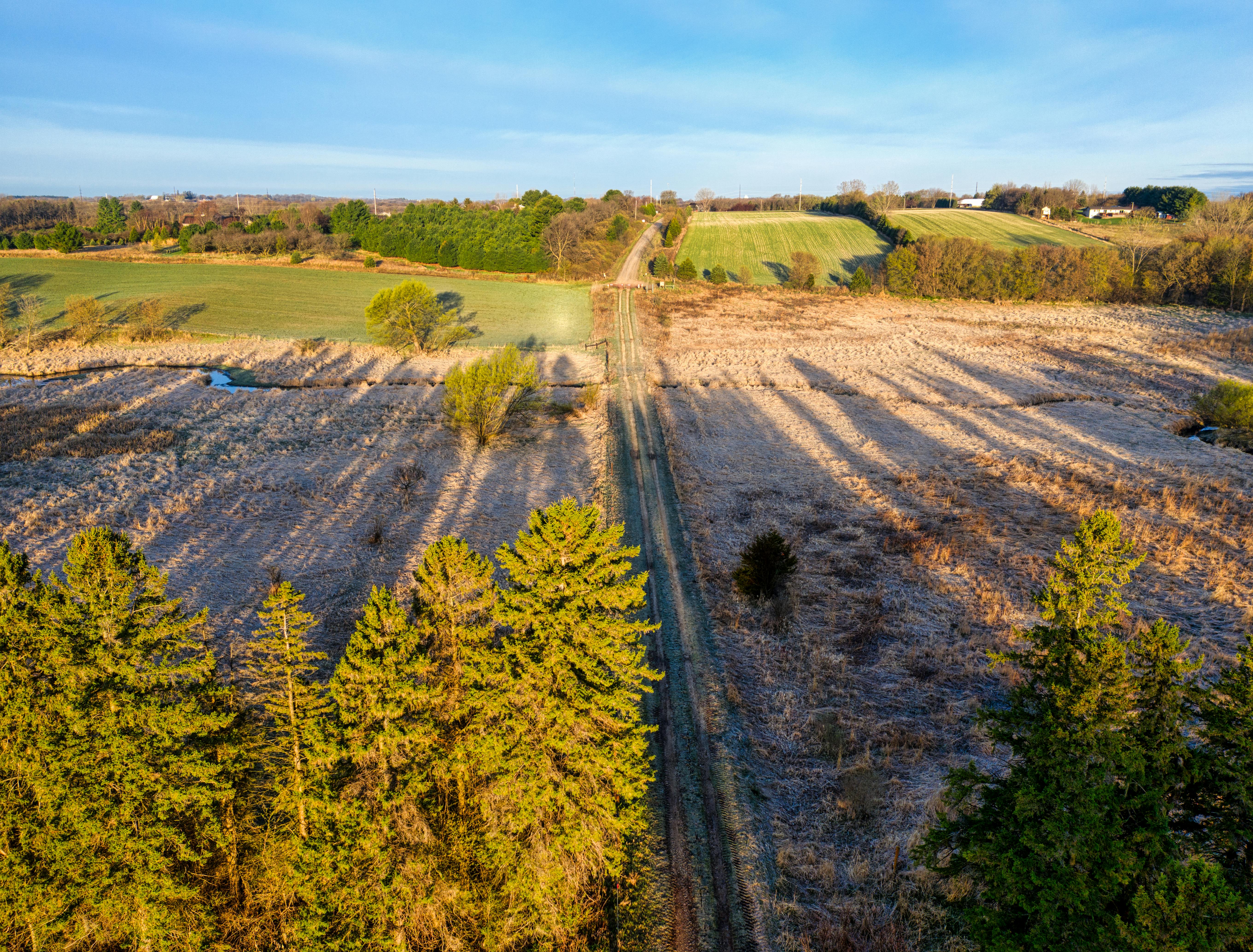 High Angle Shot of Grass Field Under Blue Sky · Free Stock Photo