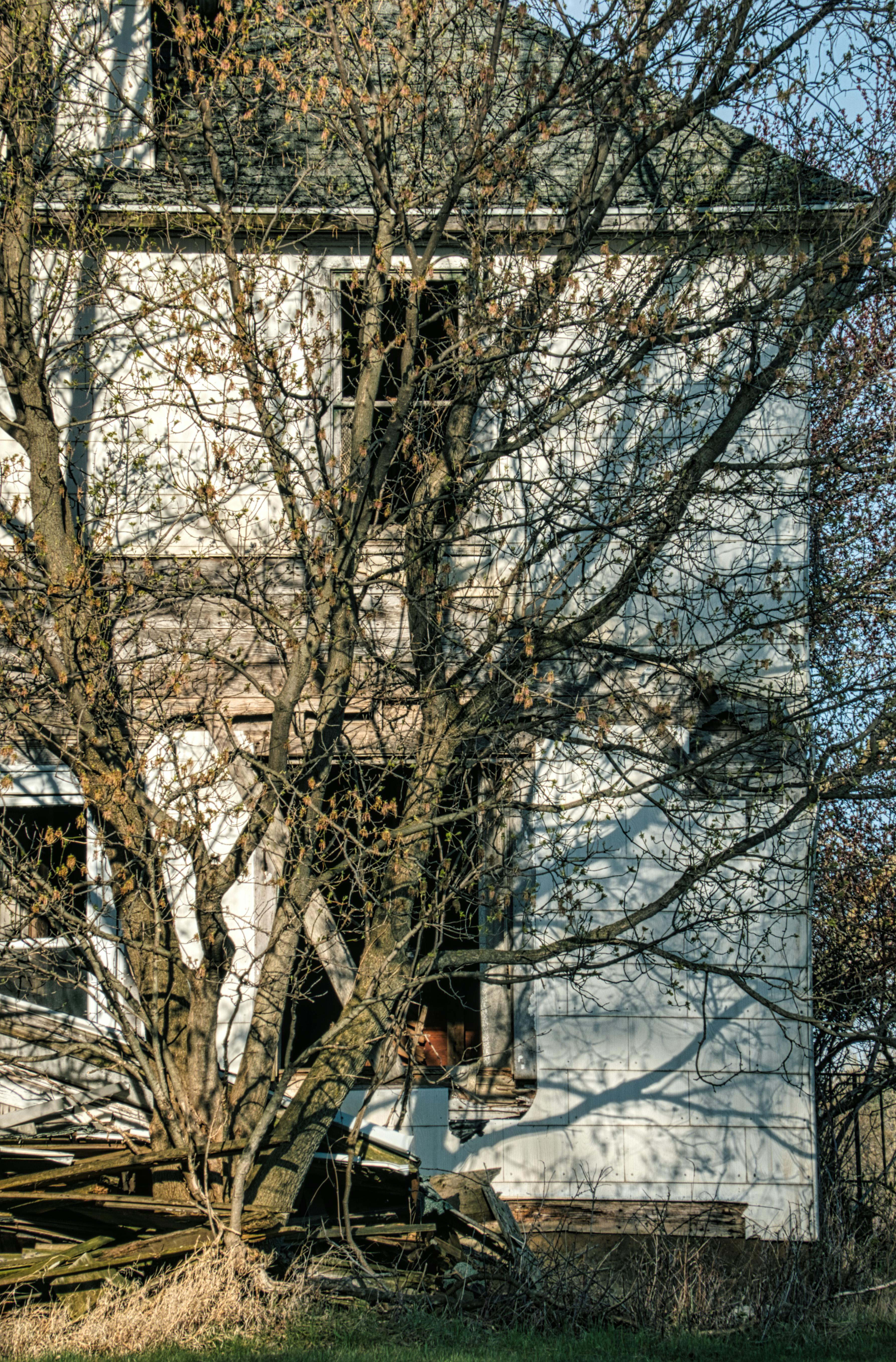 Building Behind Bare Tree · Free Stock Photo