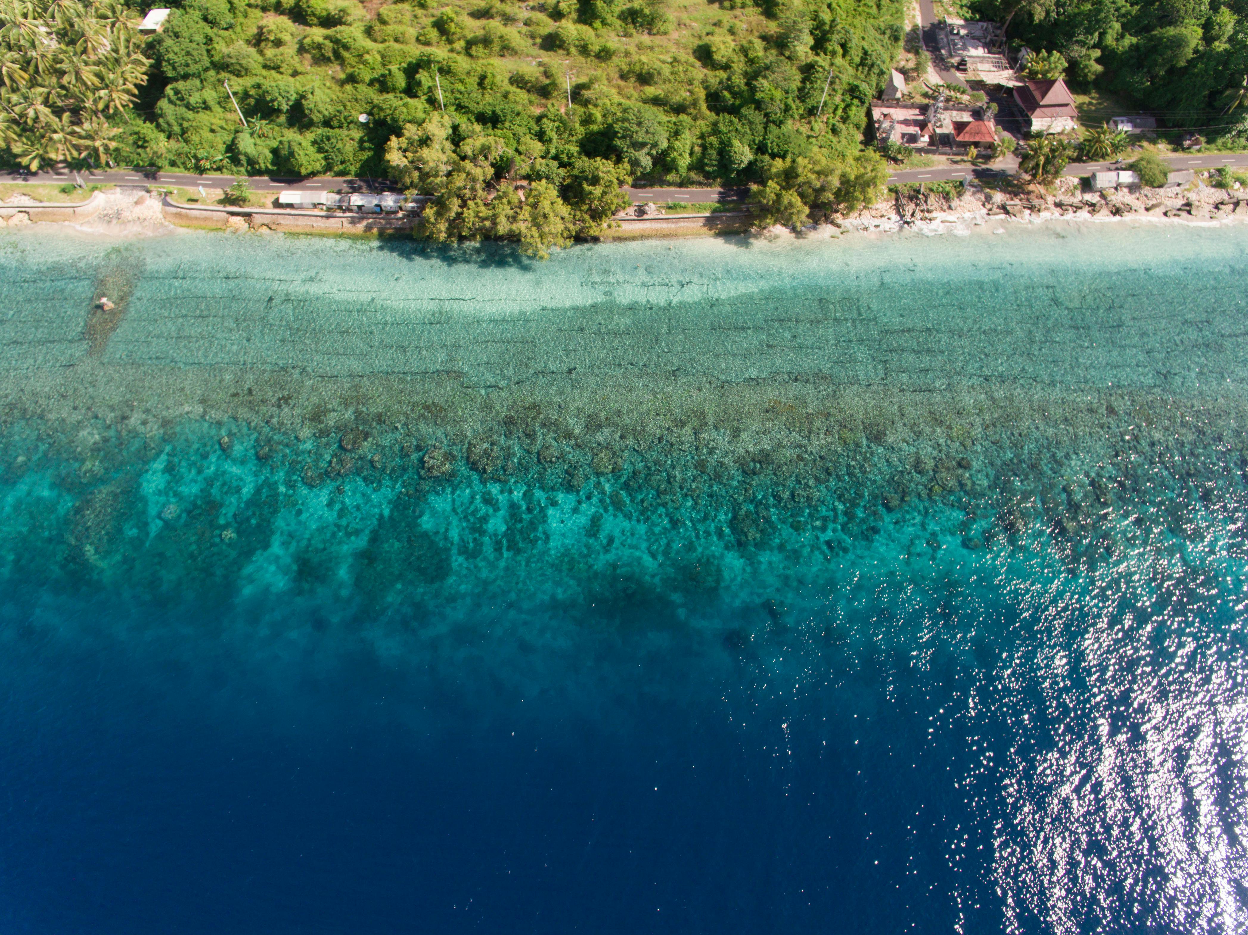 Top View of Road Near the Sea · Free Stock Photo