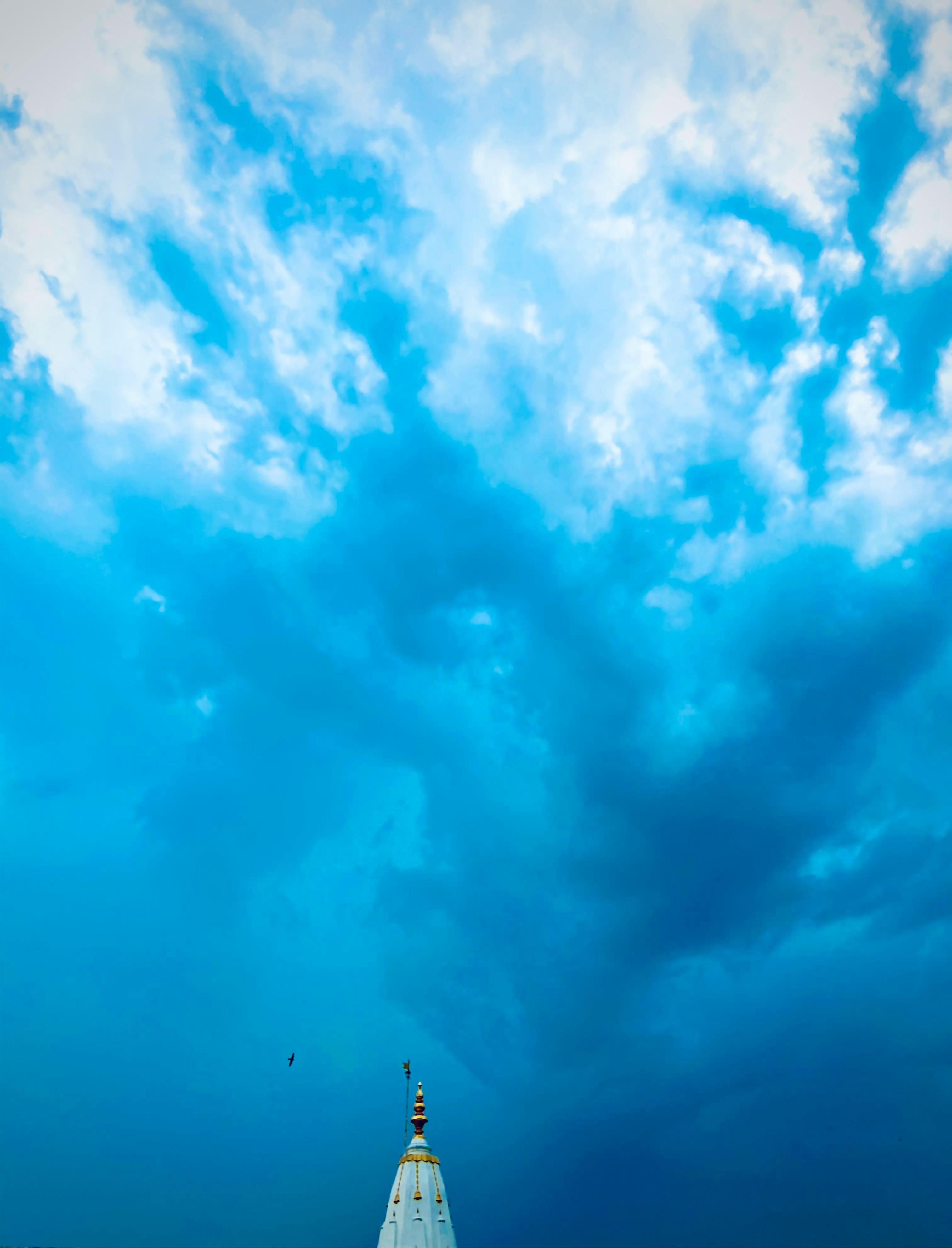 Shrishti Sharma - 写真