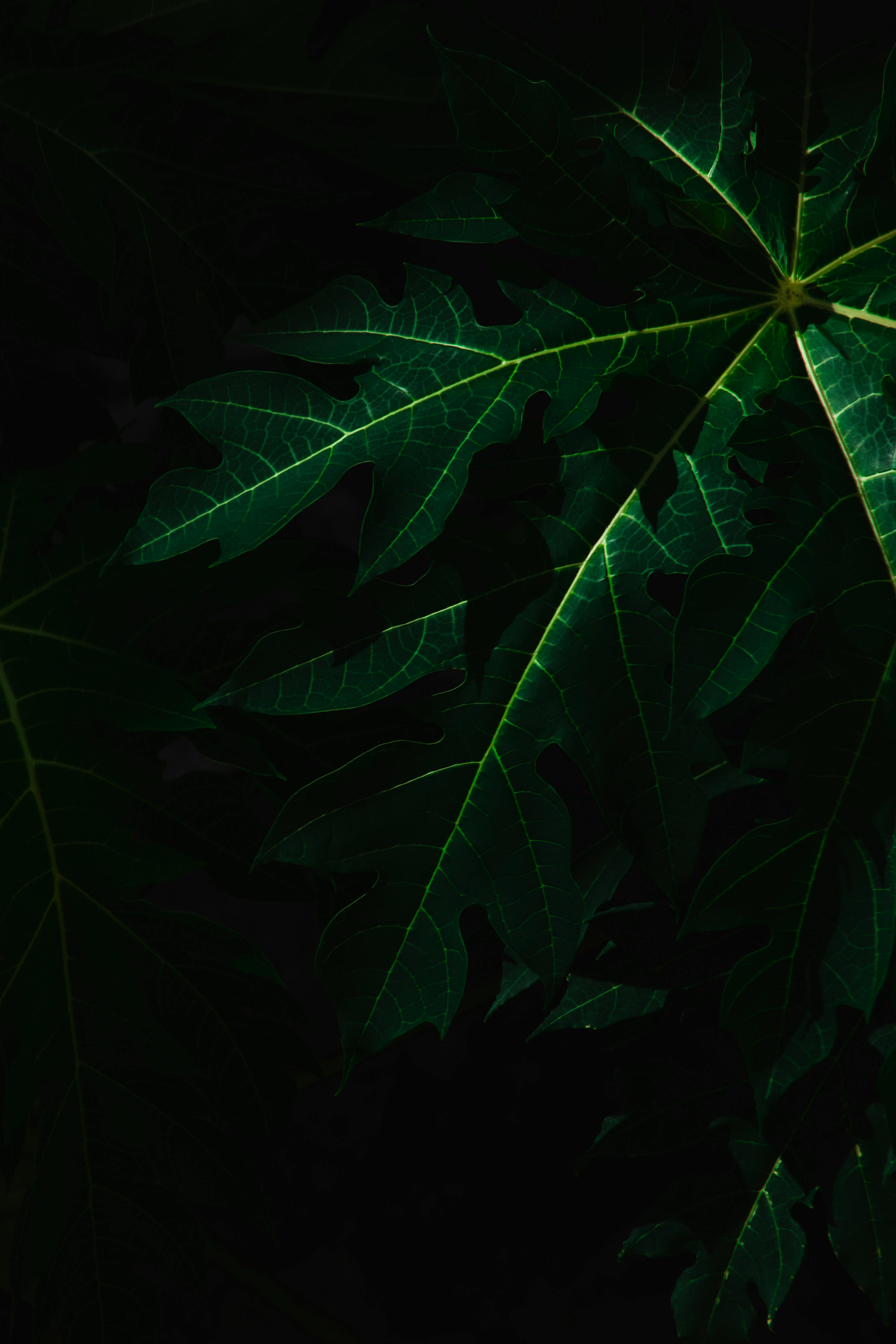 Magazine Texture Photos, Download Free Magazine Texture Stock Photos ...