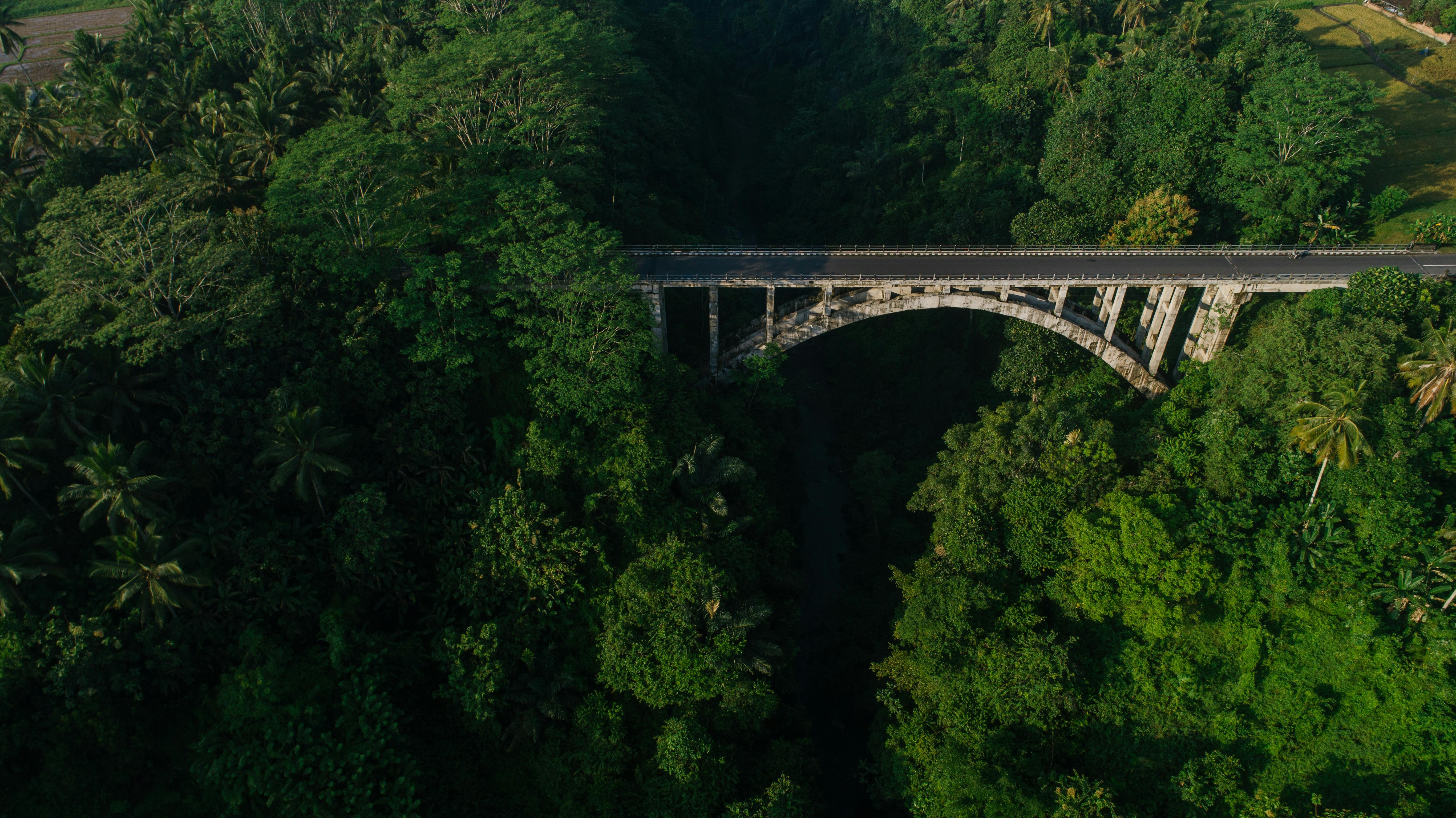 View of a Bridge · Free Stock Photo