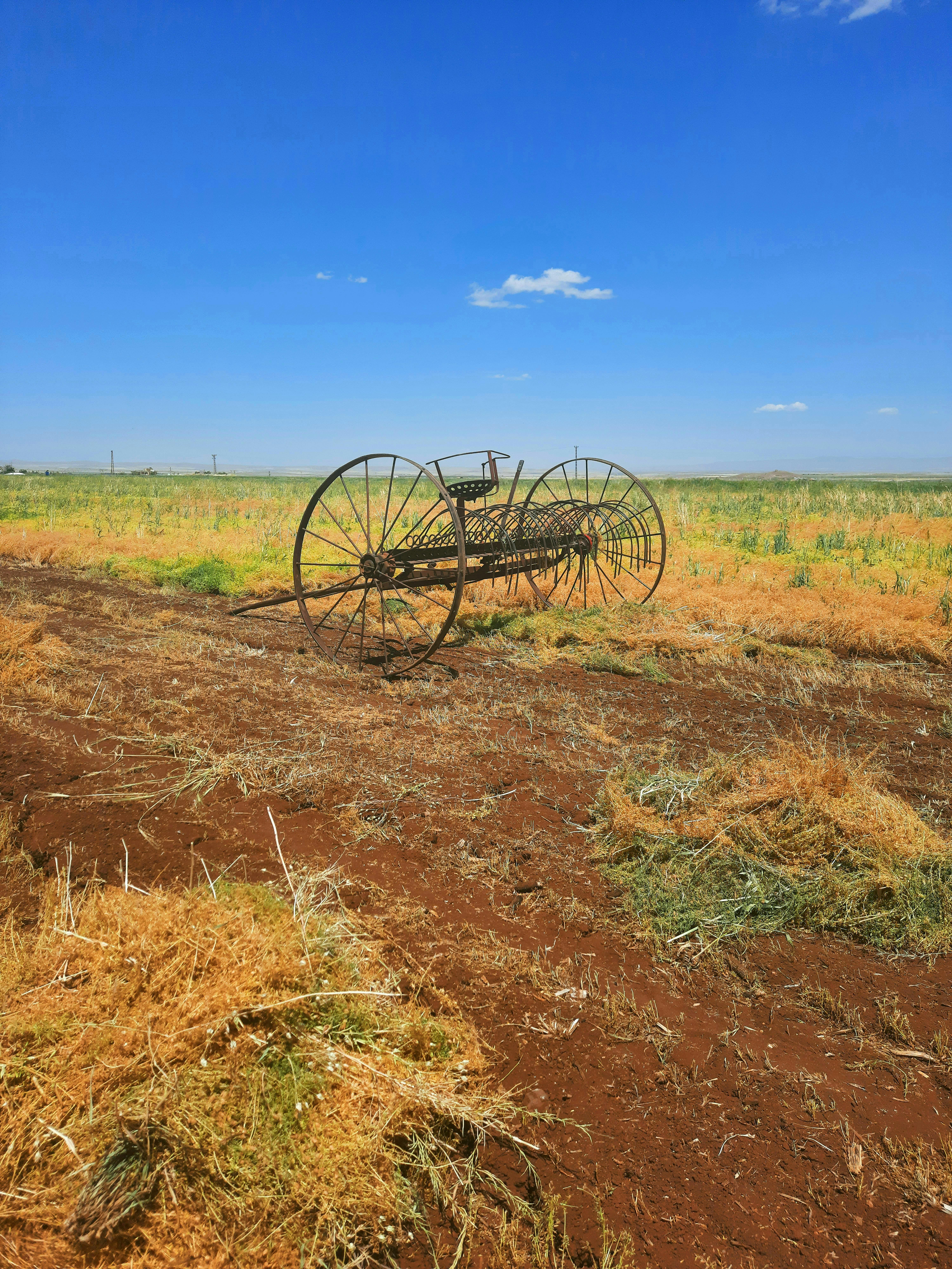 Man Plowing Field Using Traditional Methods · Free Stock Photo