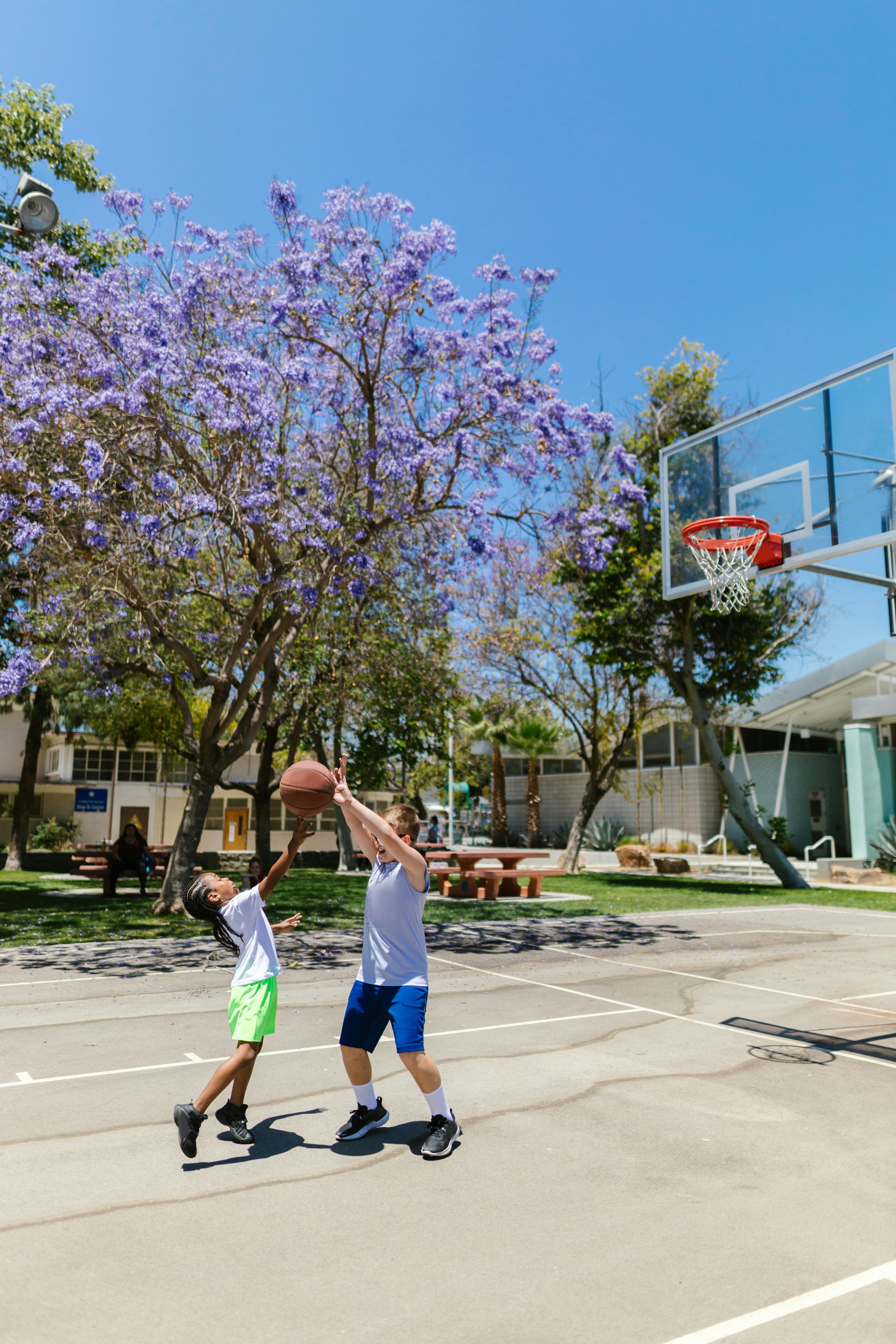 Two People Playing Basketball · Free Stock Photo
