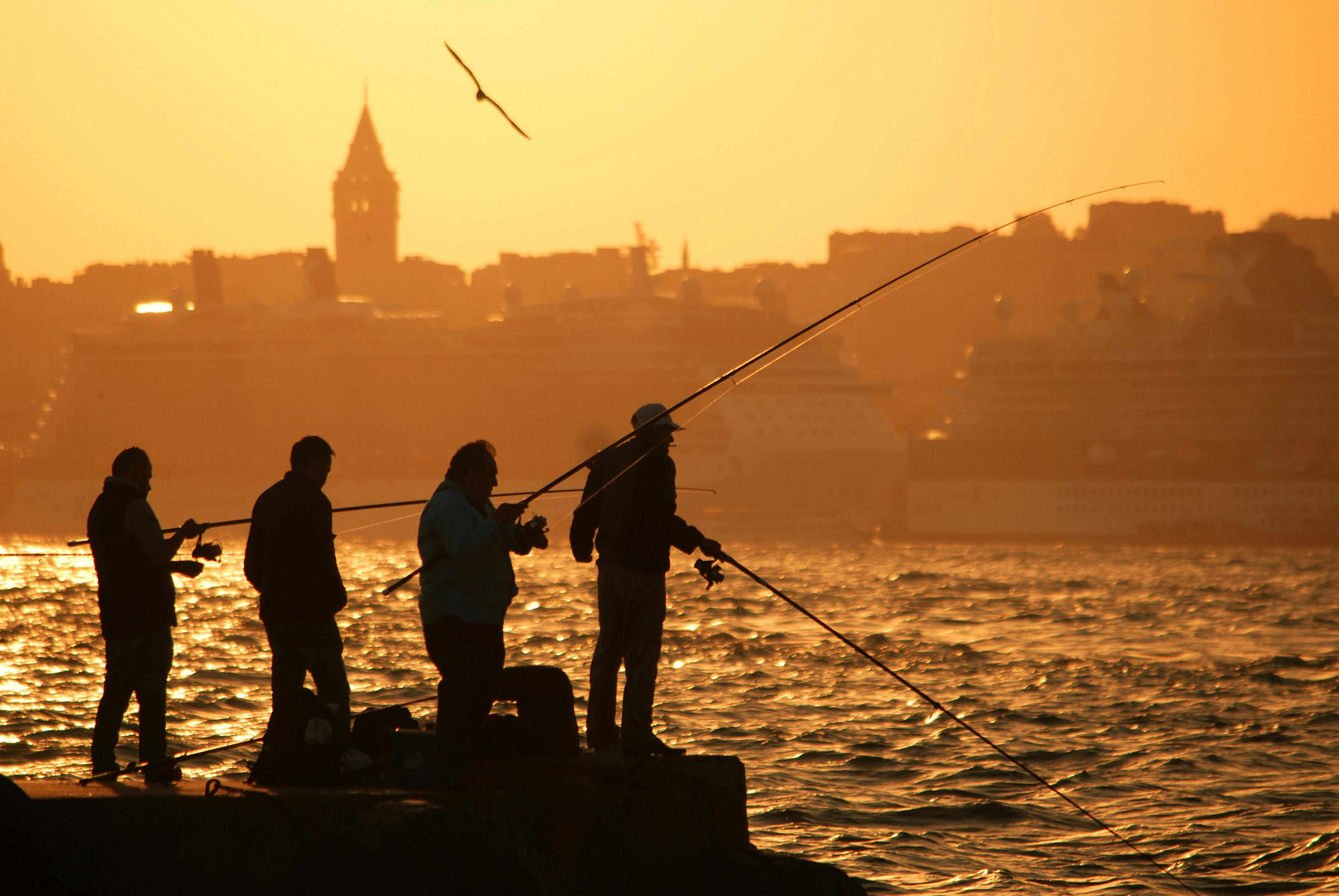 Silhouette of People Fishing on Sea during Sunset · Free Stock Photo
