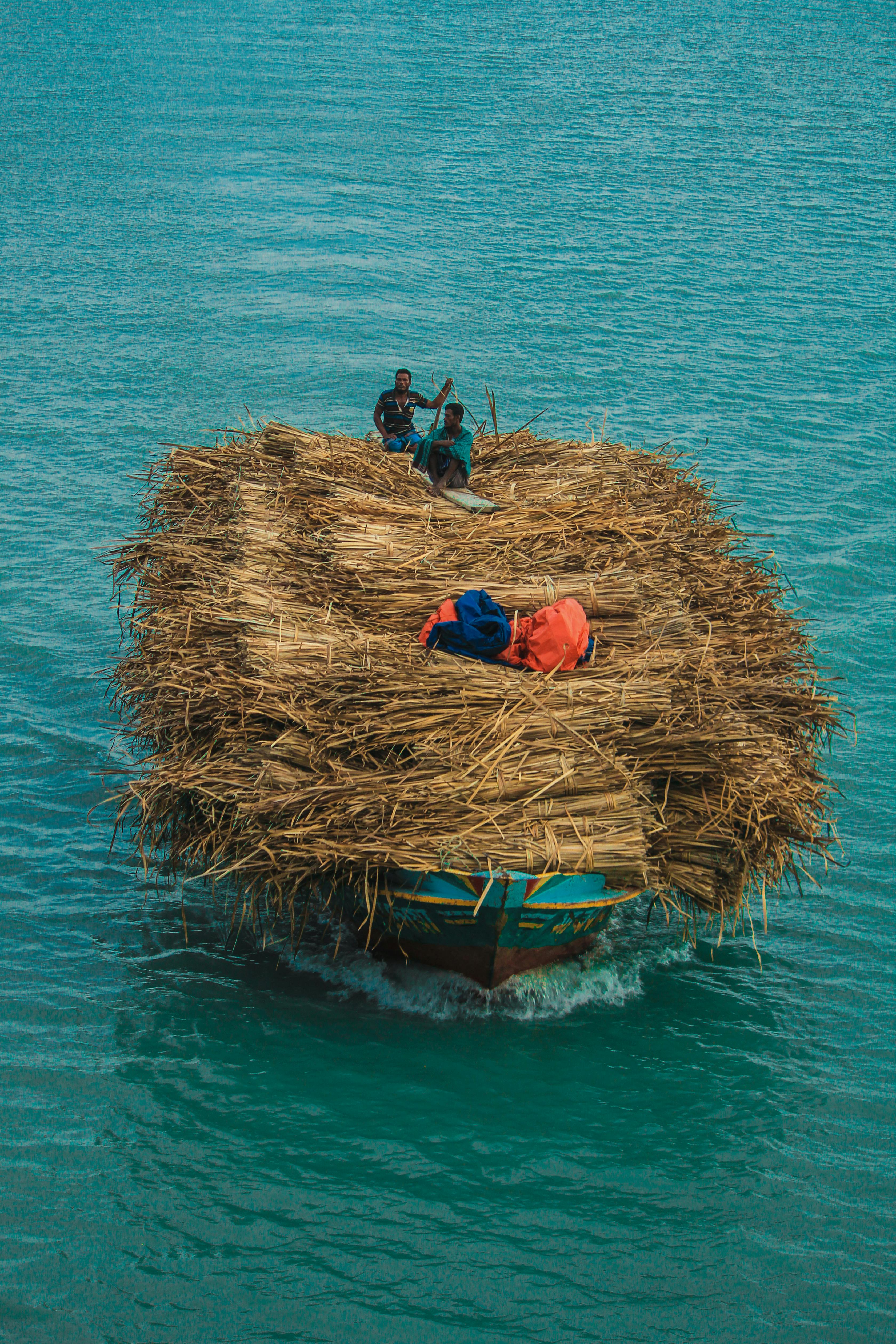 People transporting Hay on a Boat · Free Stock Photo