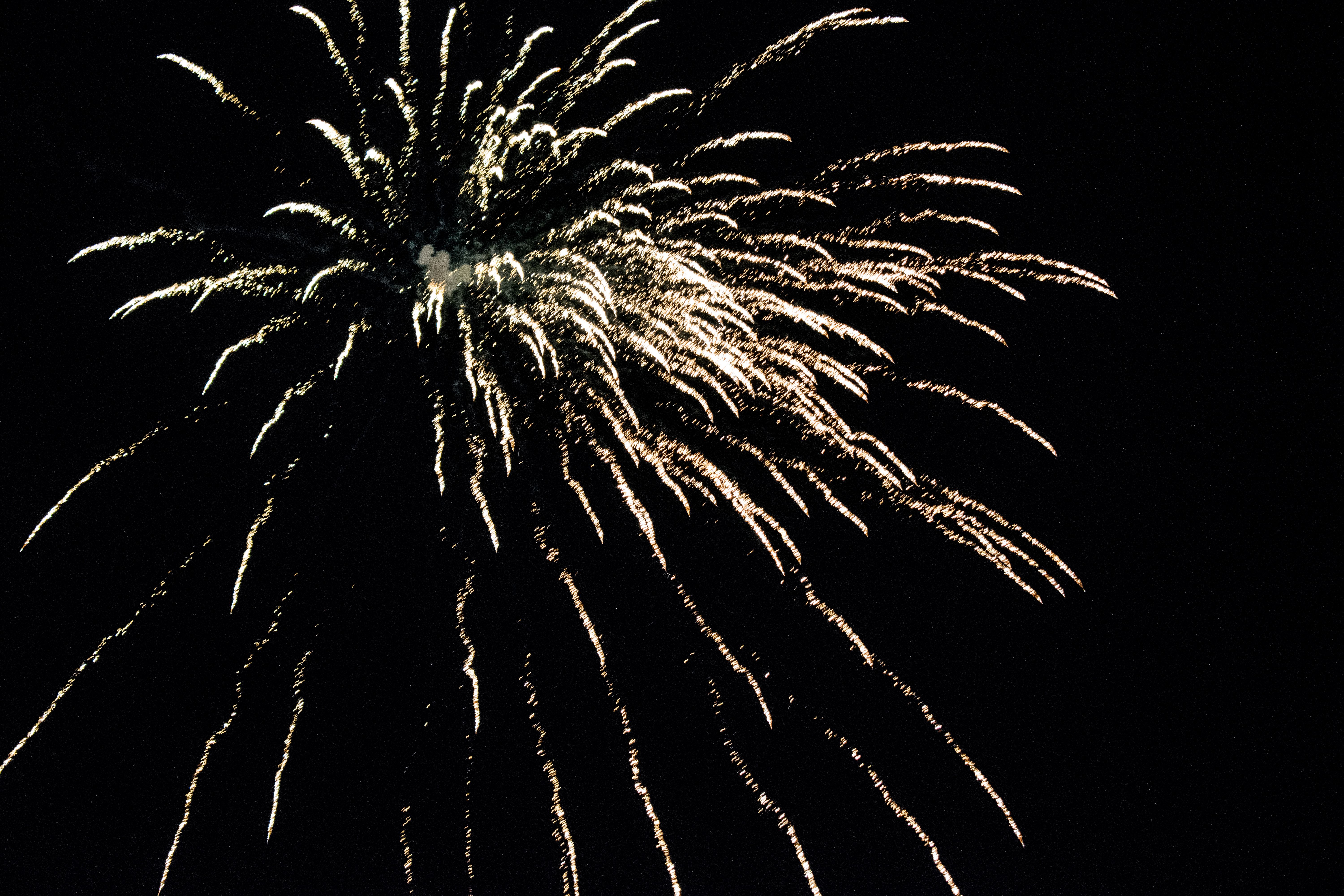 Free stock photo of bonfire night, explosion, firework