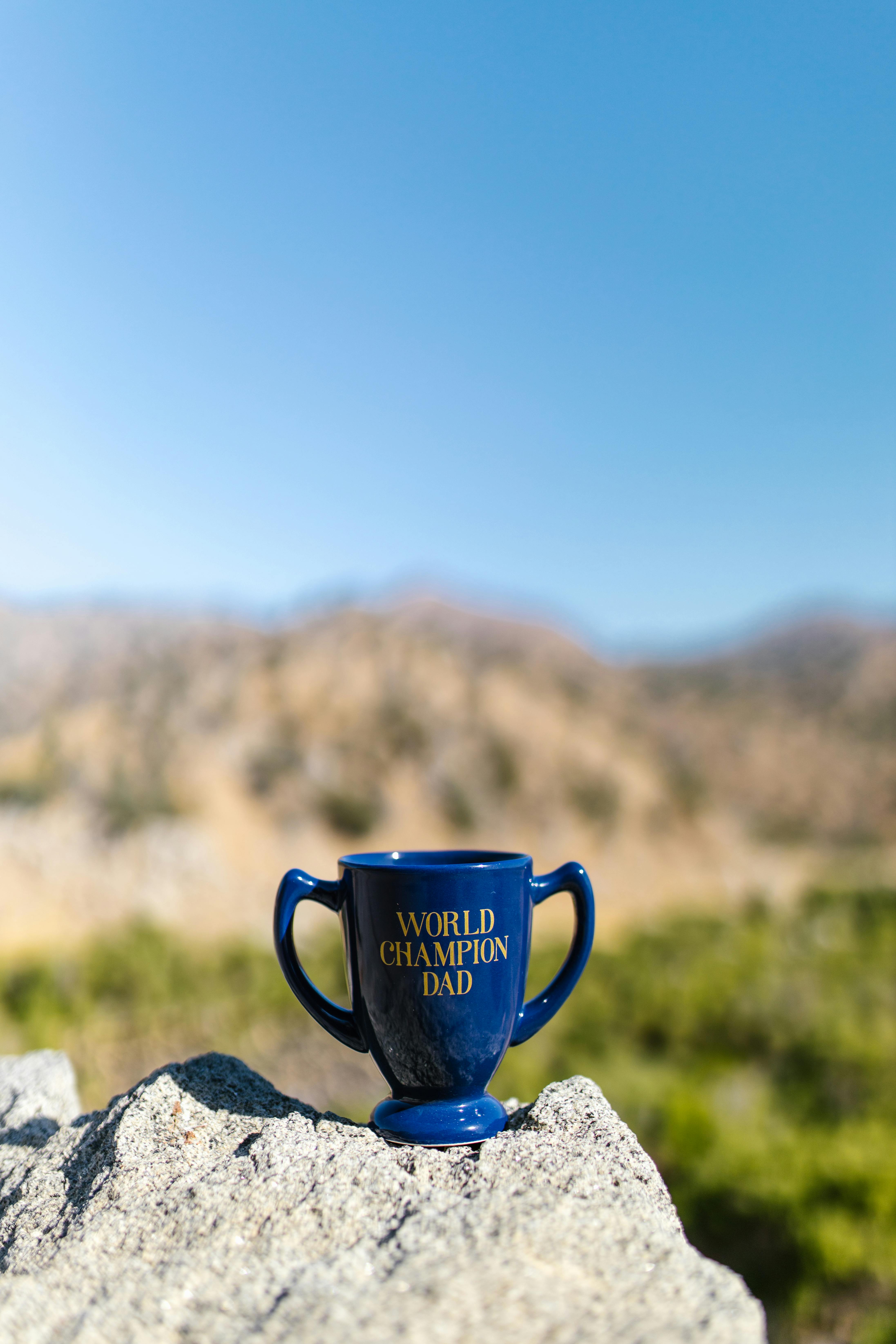 Champion Cup on Rock · Free Stock Photo