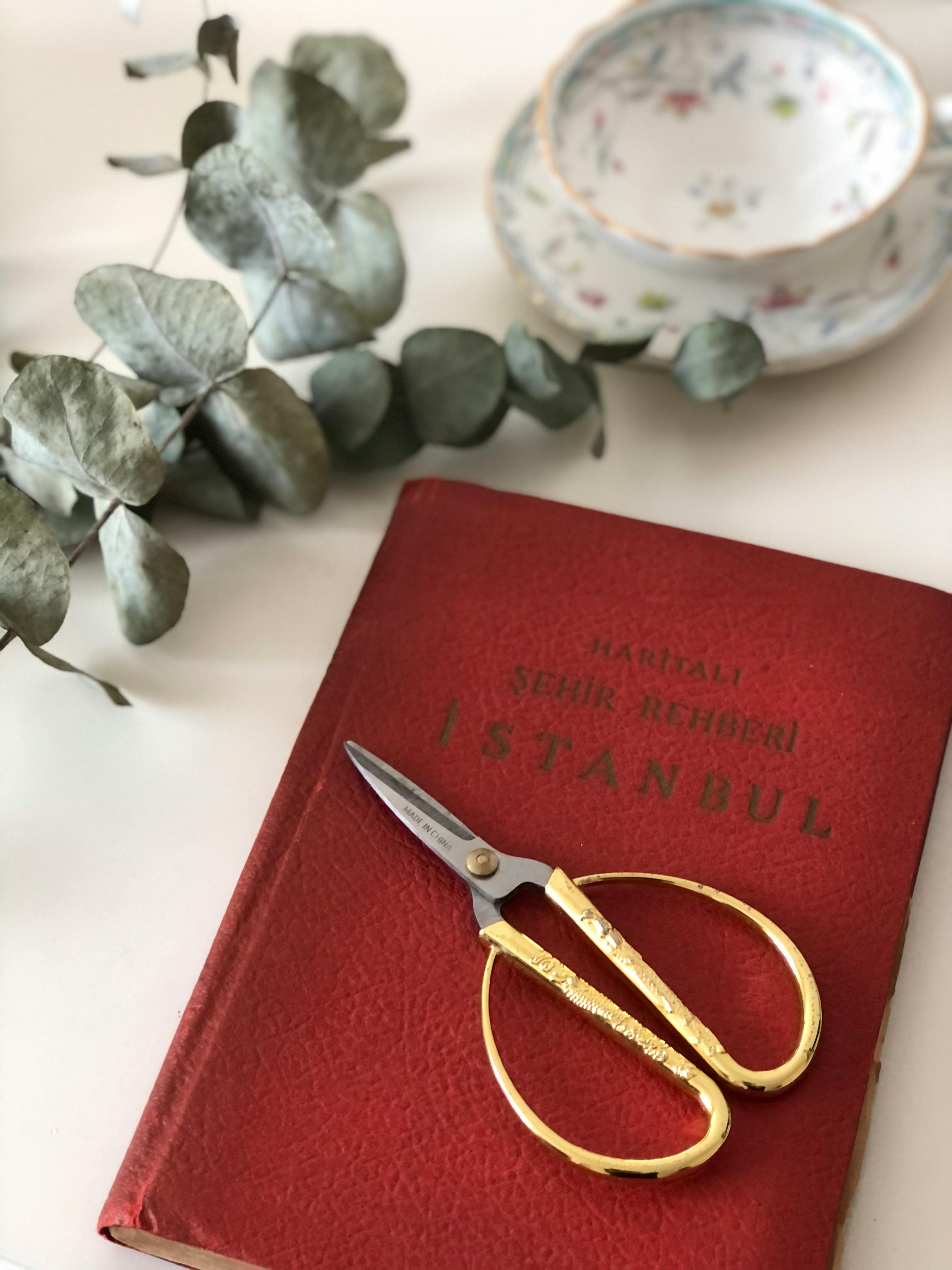 City Guide Book With Gold Scissors · Free Stock Photo