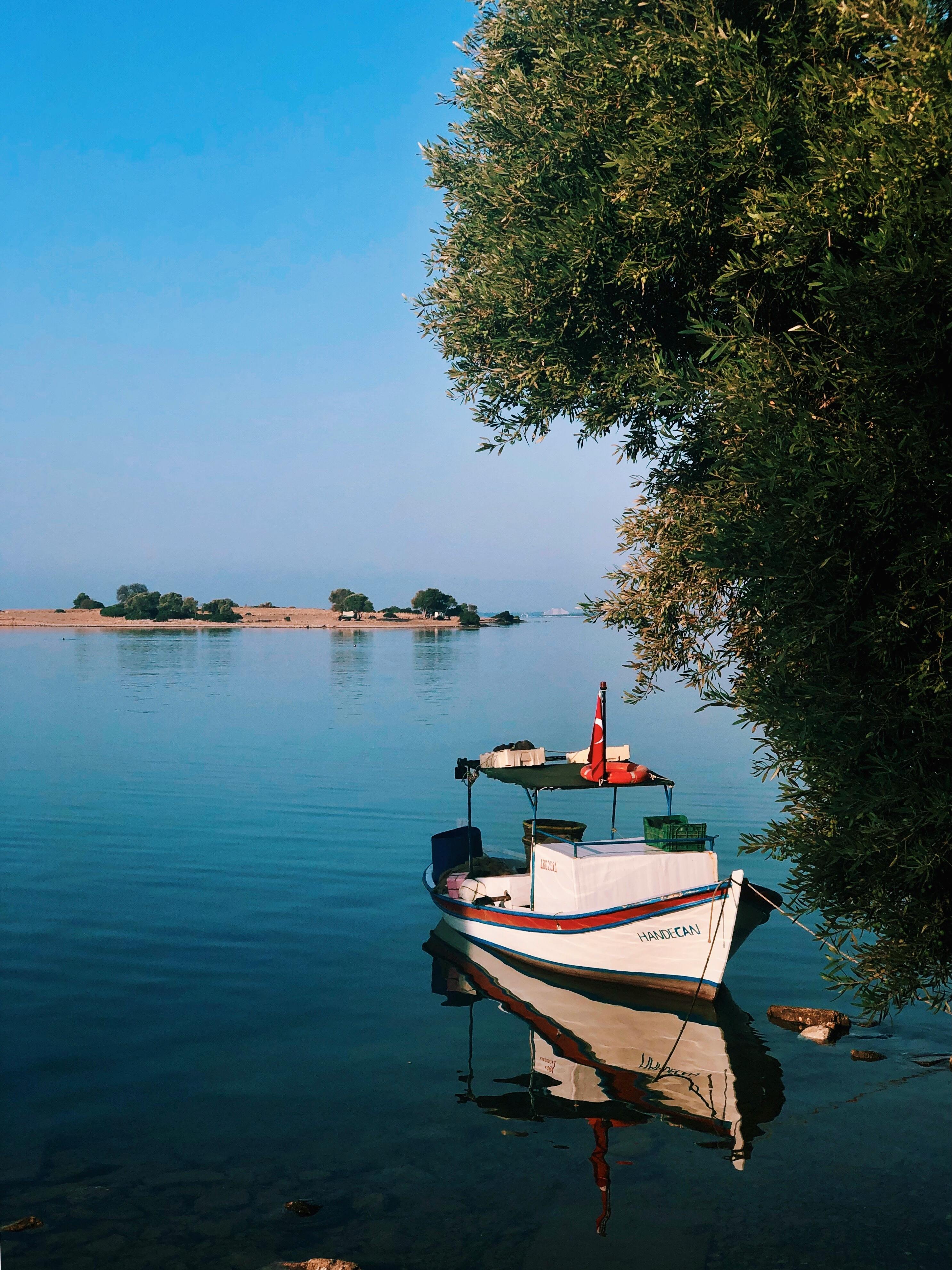 White and Red Boat Docked Near a Tree Under Blue Sky · Free Stock Photo