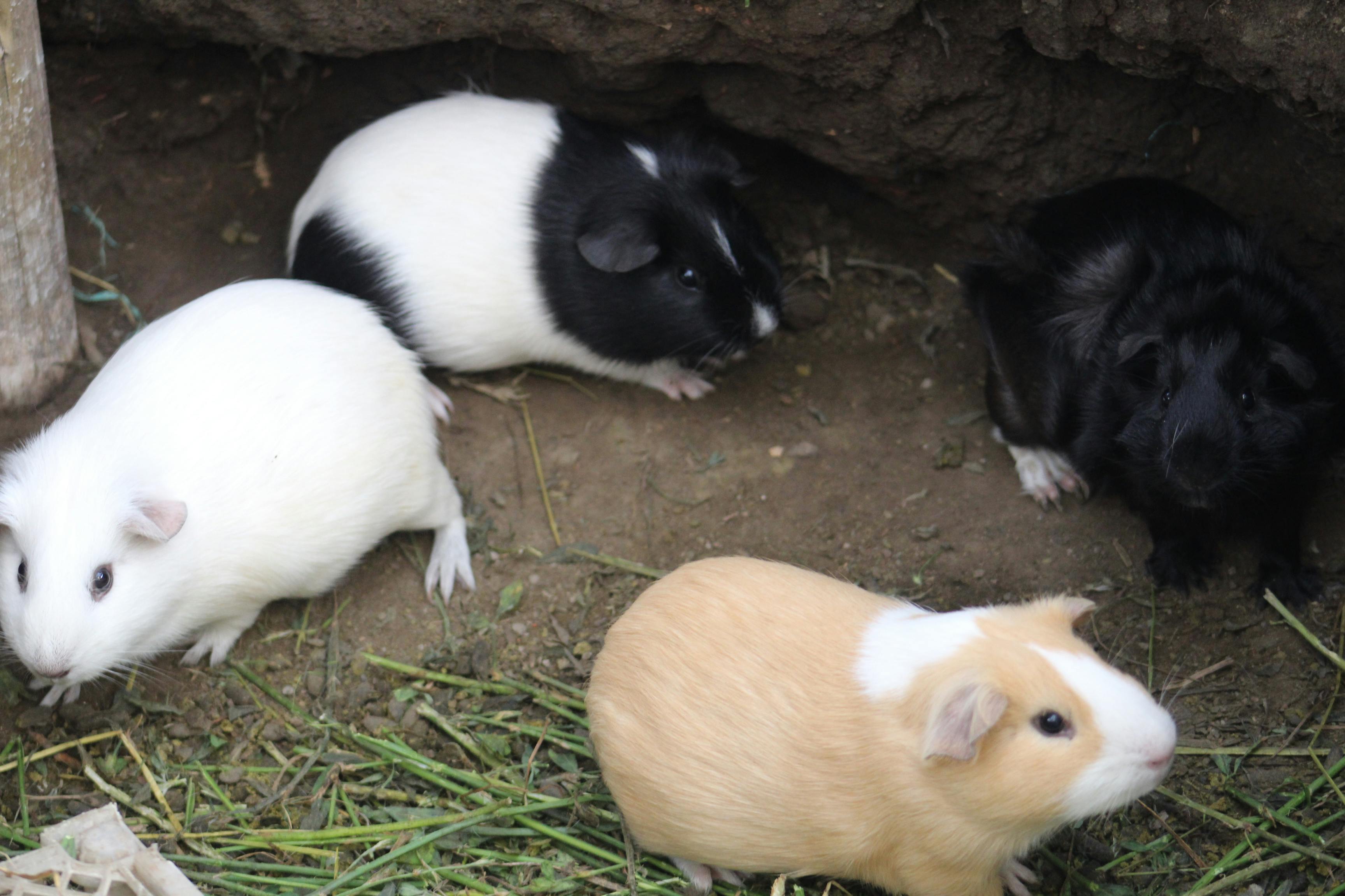 iox Morillo - 摄影