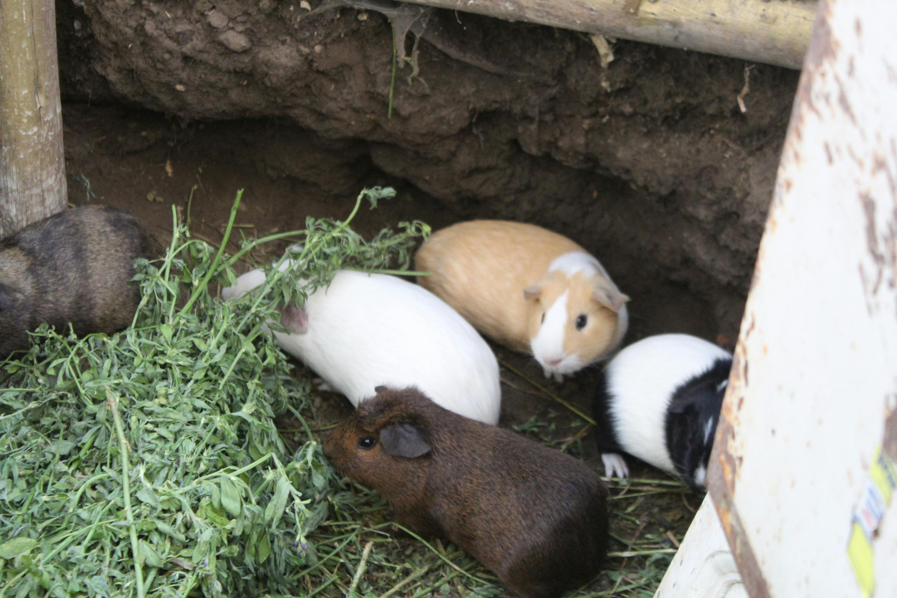 iox Morillo - 摄影