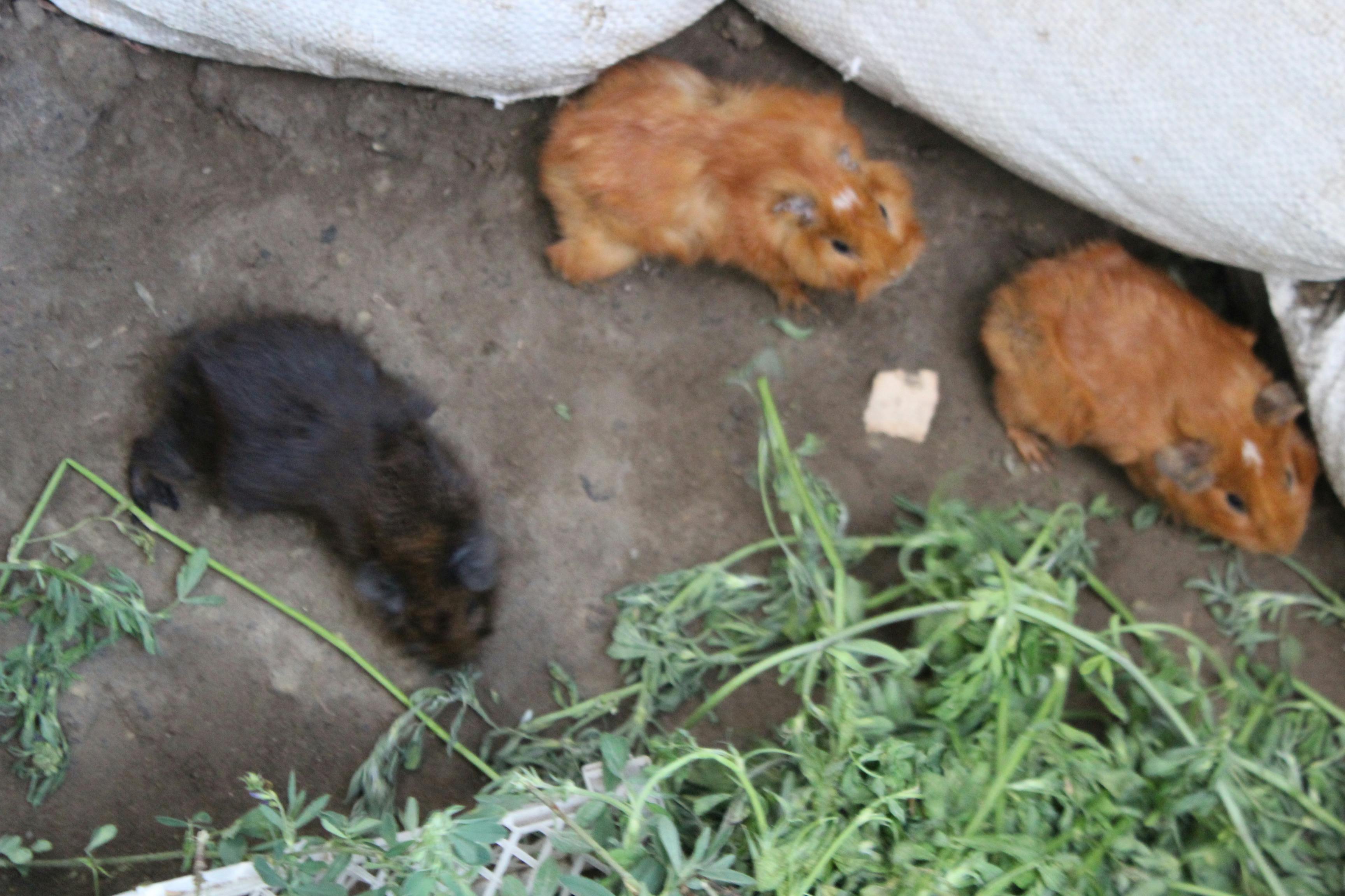 iox Morillo - 摄影