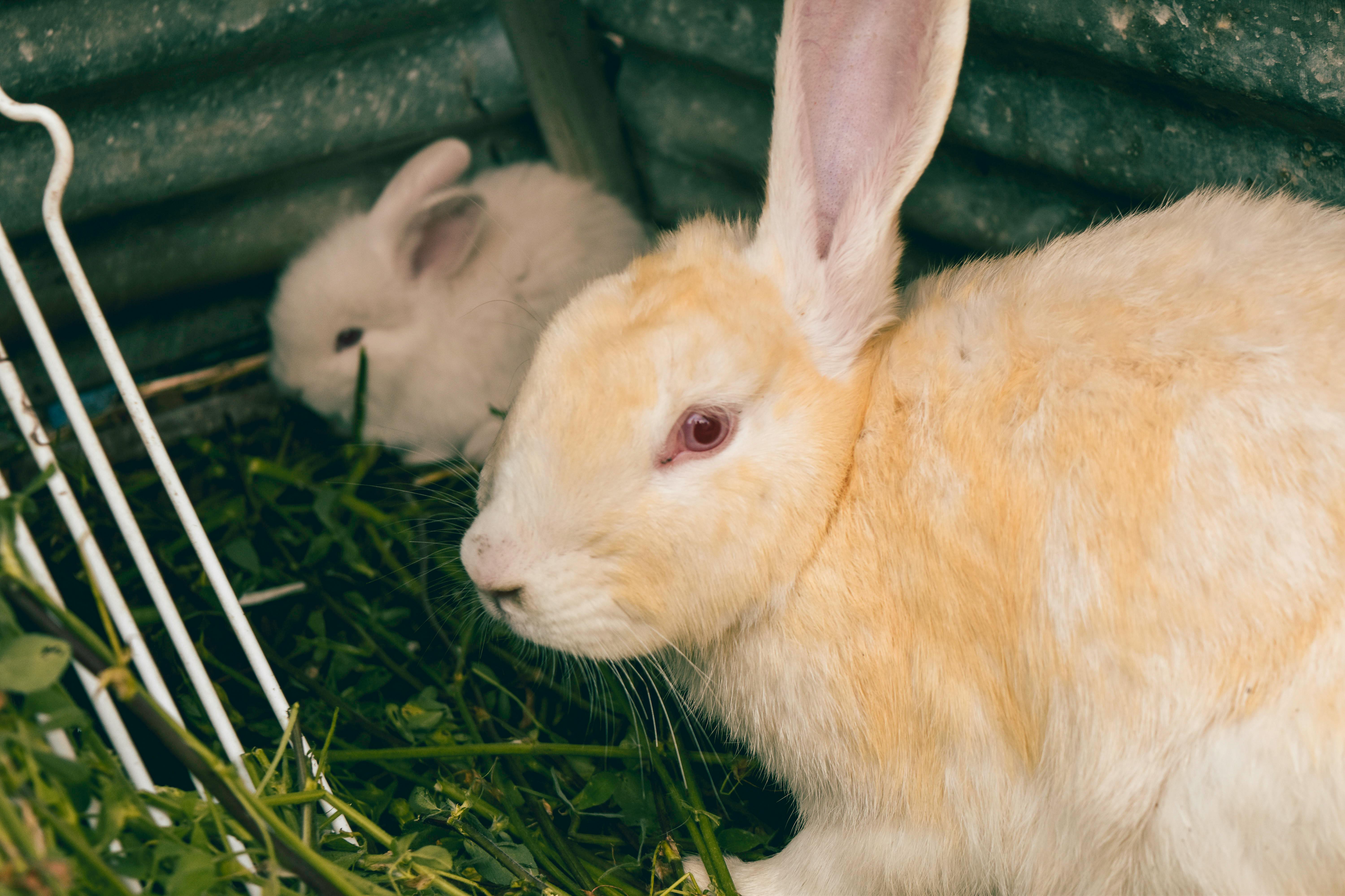 iox Morillo - 摄影