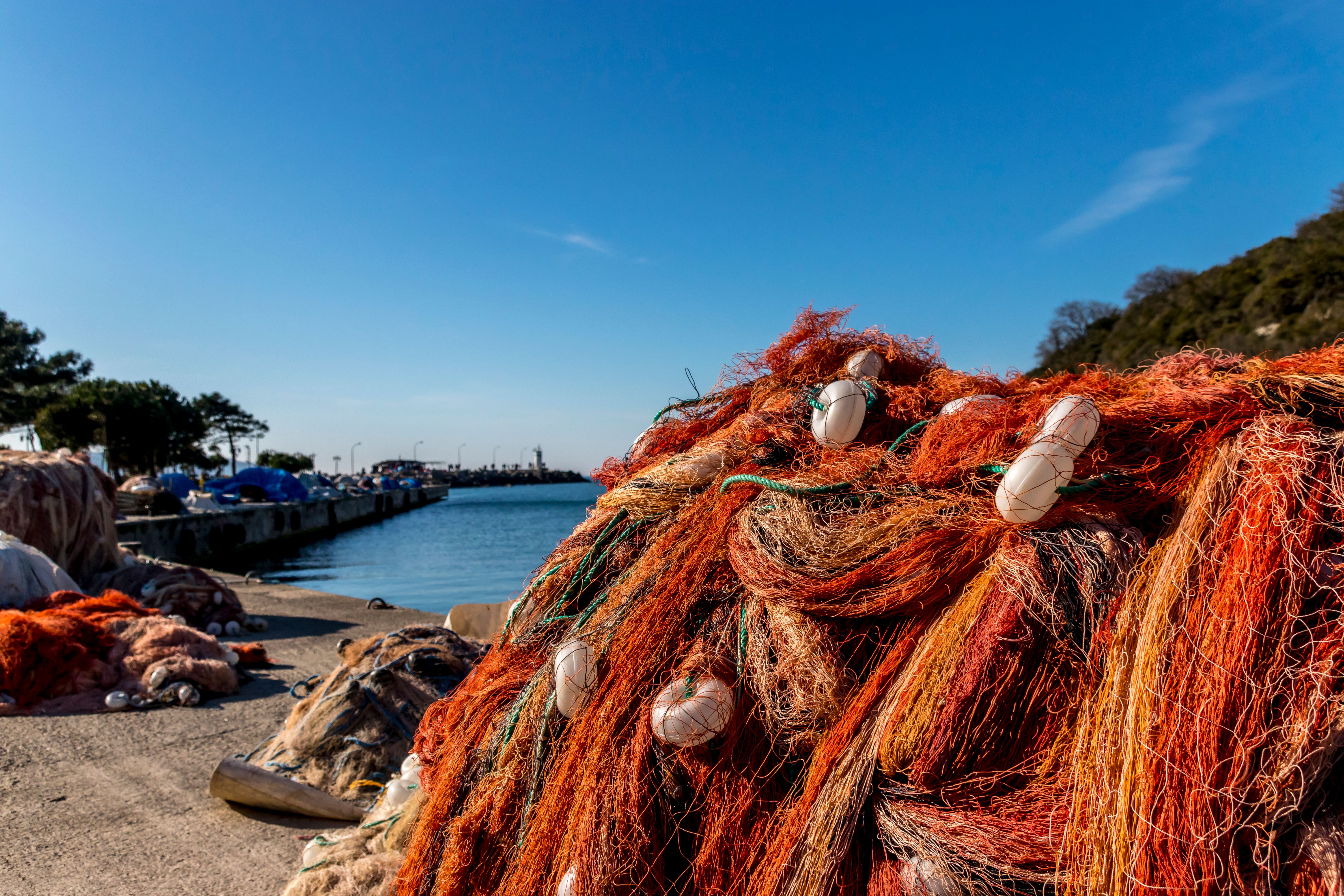Fish With Nets And Boats Photos, Download The BEST Free Fish With Nets ...