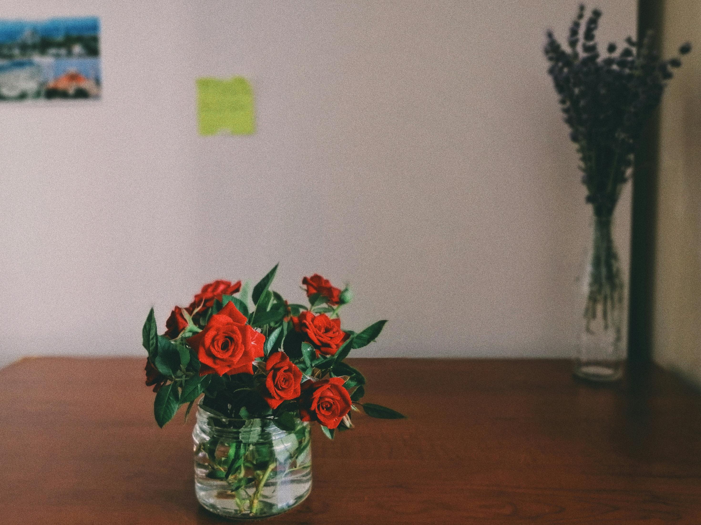 Red Roses in Clear Glass Vase · Free Stock Photo