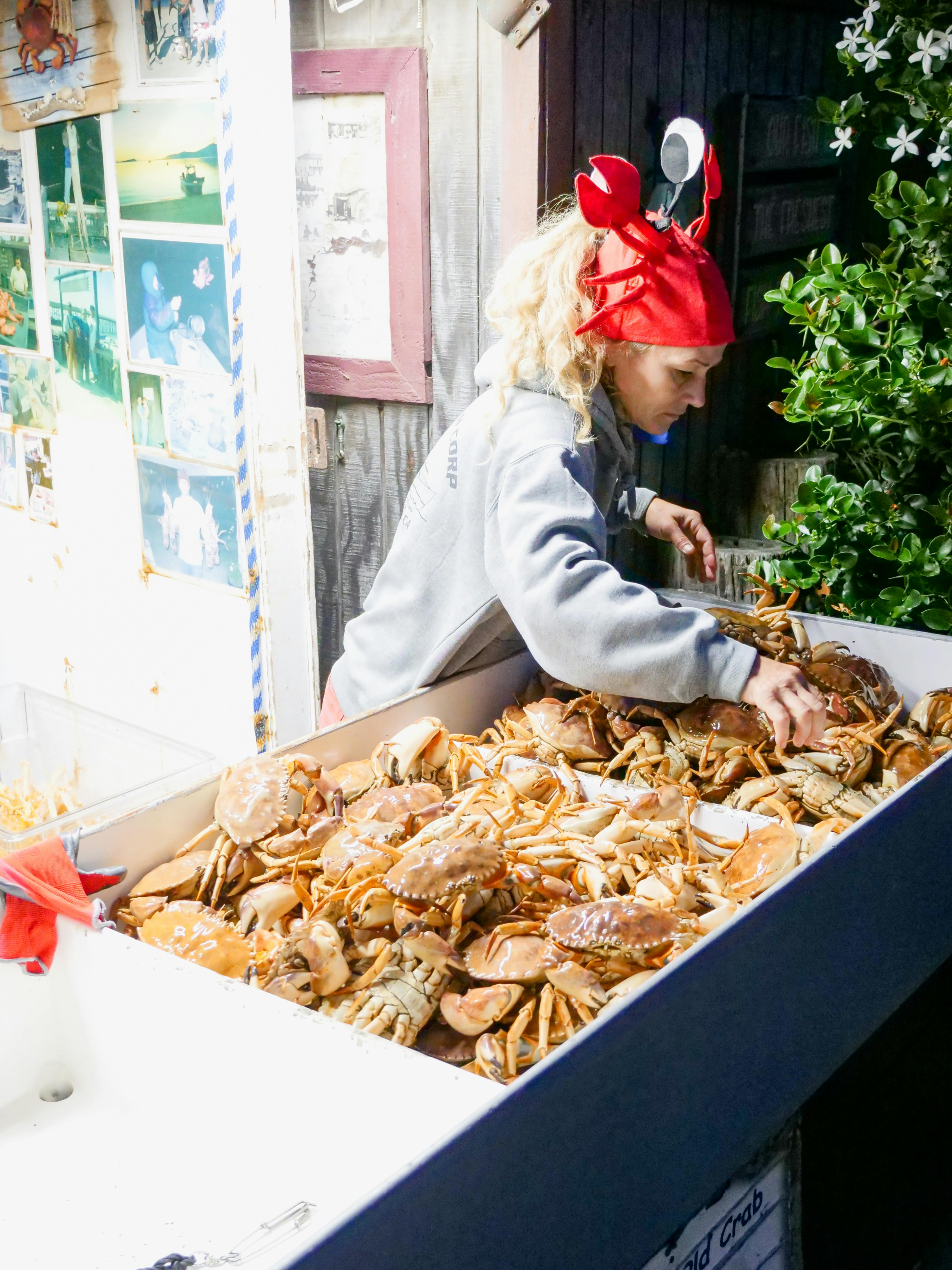 Free stock photo of catch of fish, commerce, commercial activity ...