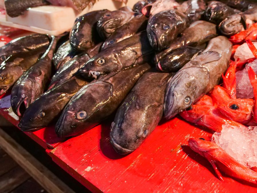 What Does COD Mean in Business? A Simple Guide for 2024
