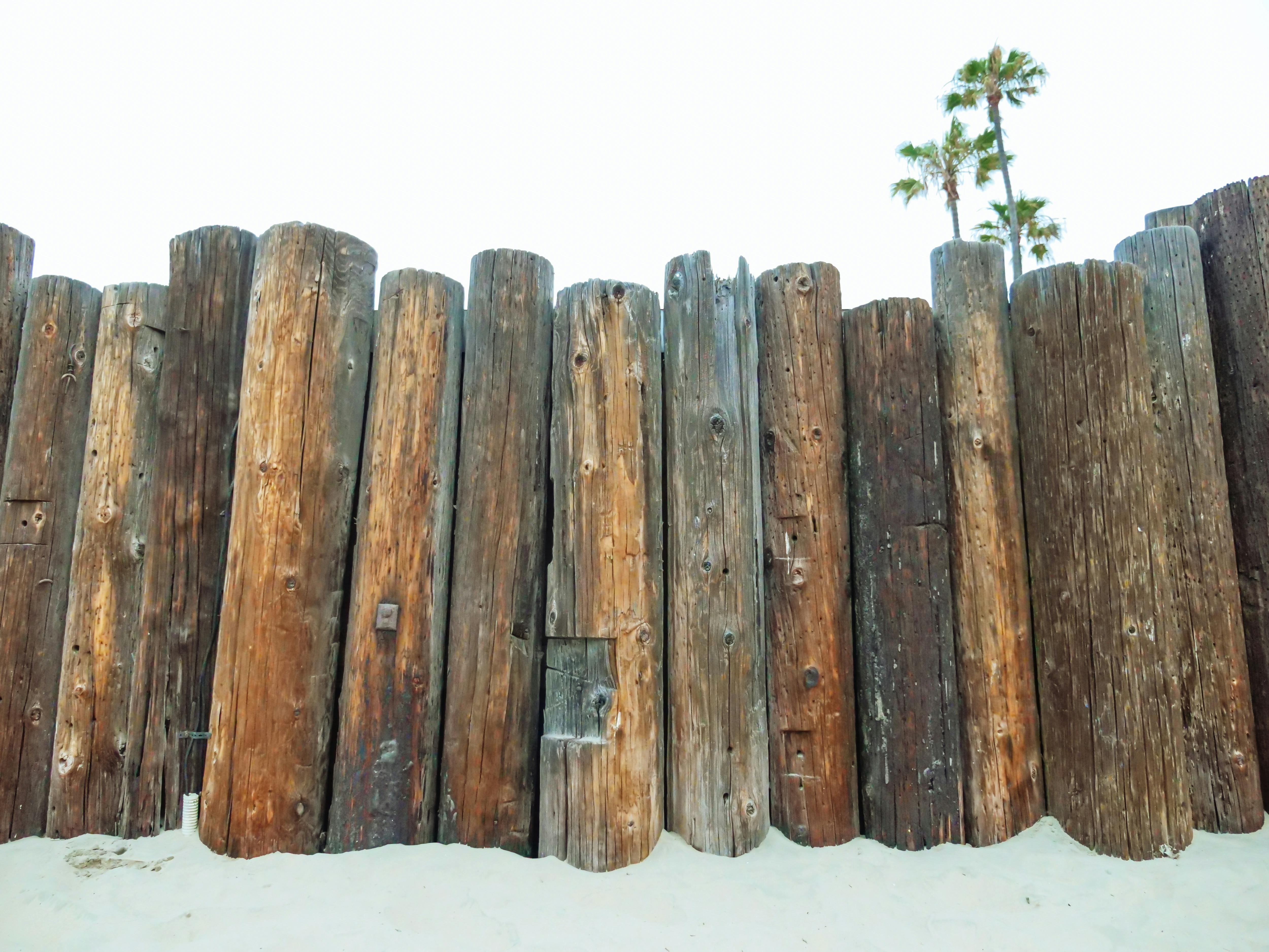 Vertical Logs Photos, Download The BEST Free Vertical Logs Stock Photos ...