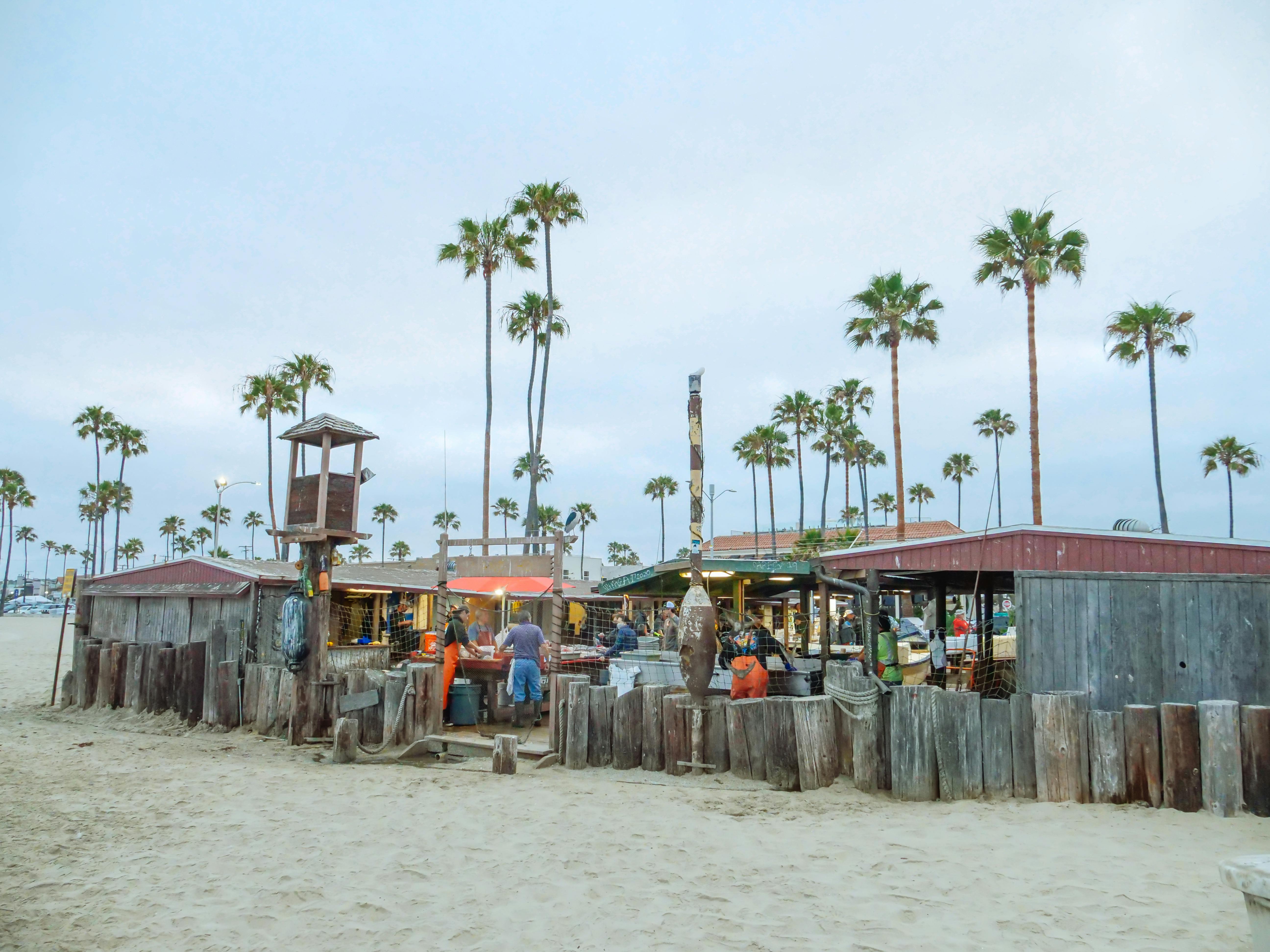 Market on White Sand With Tall Trees · Free Stock Photo