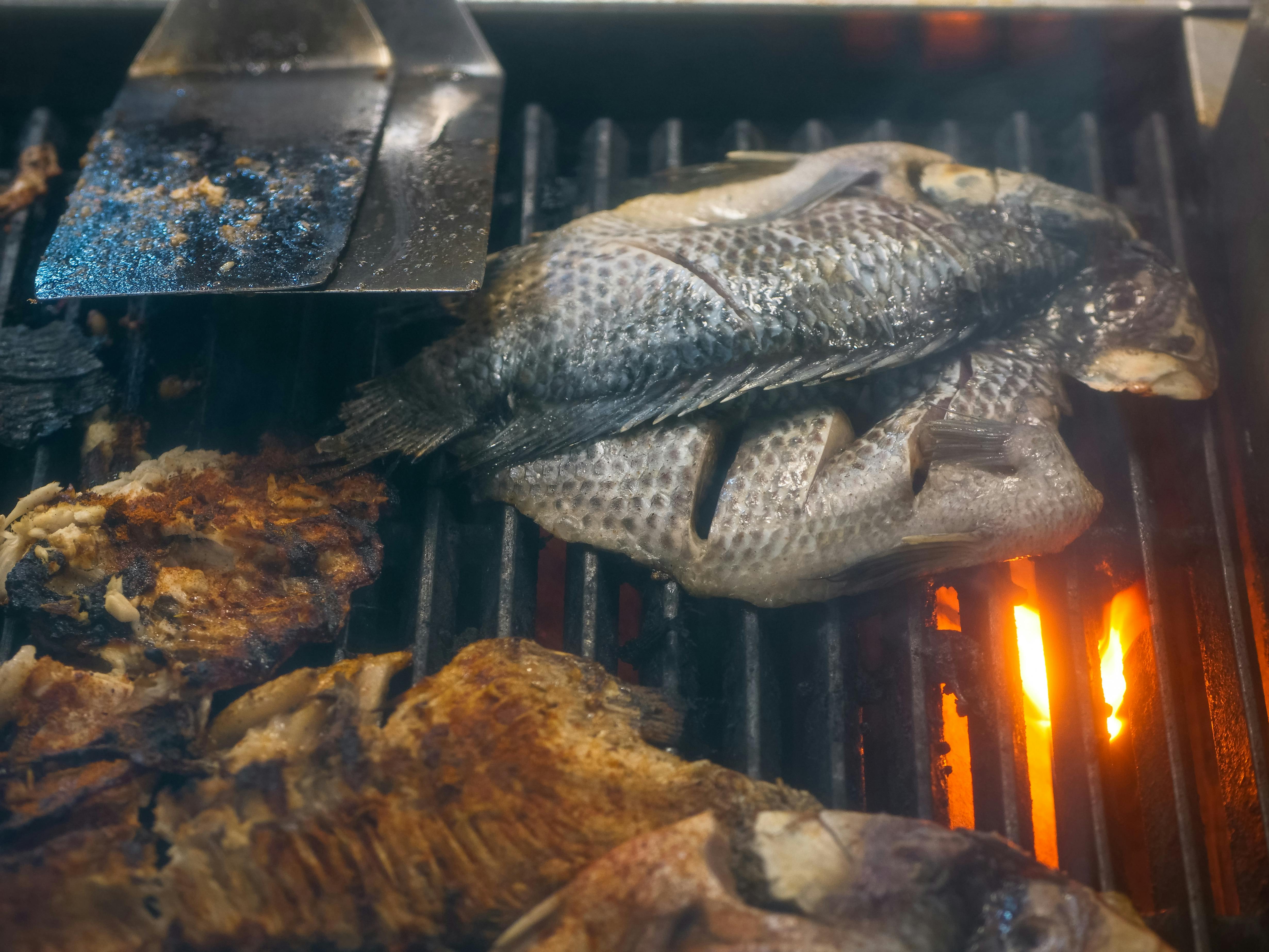 Fresh Fishes on the Grill · Free Stock Photo