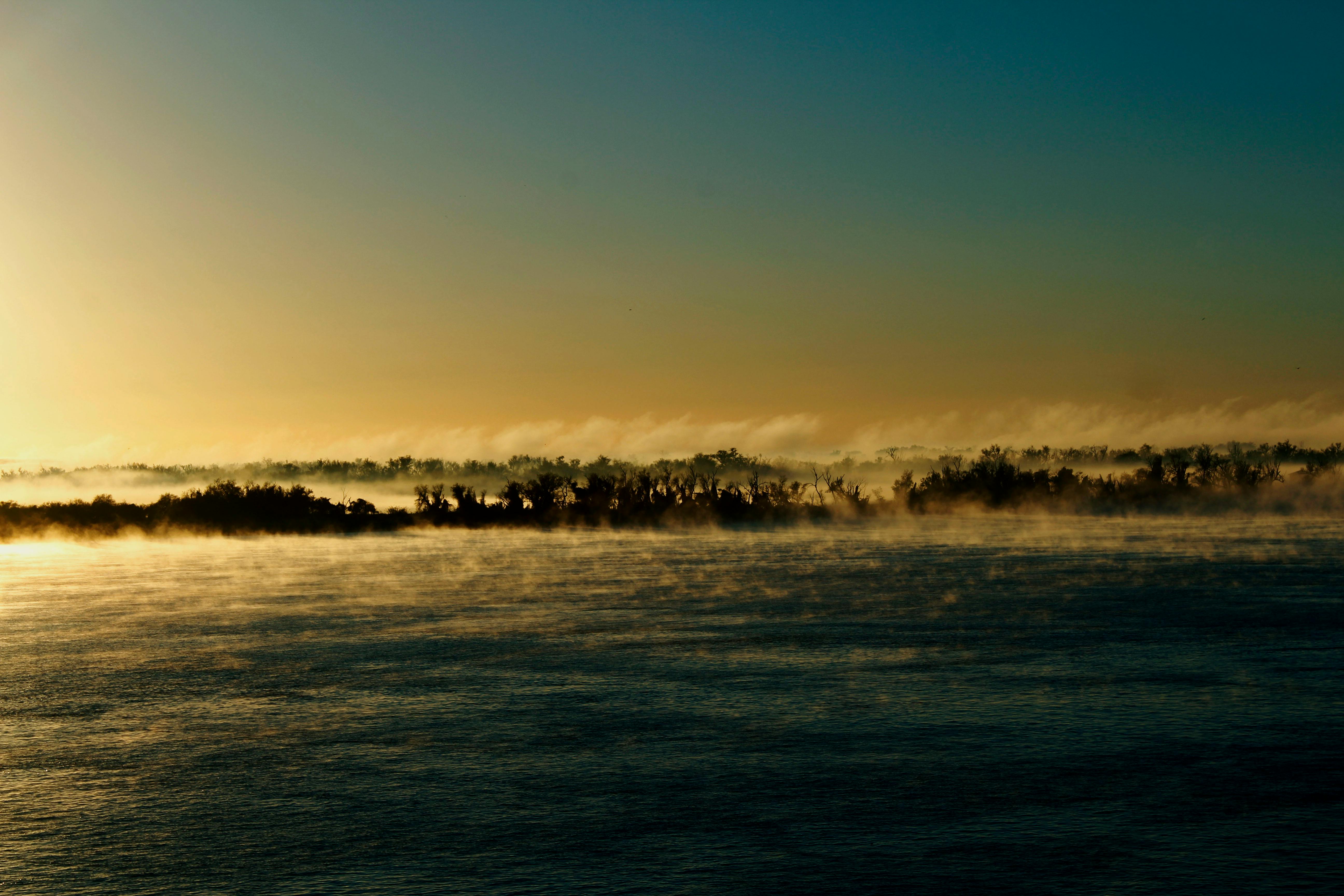 Steam Over the Sea and Palm Trees in the Evening · Free Stock Photo
