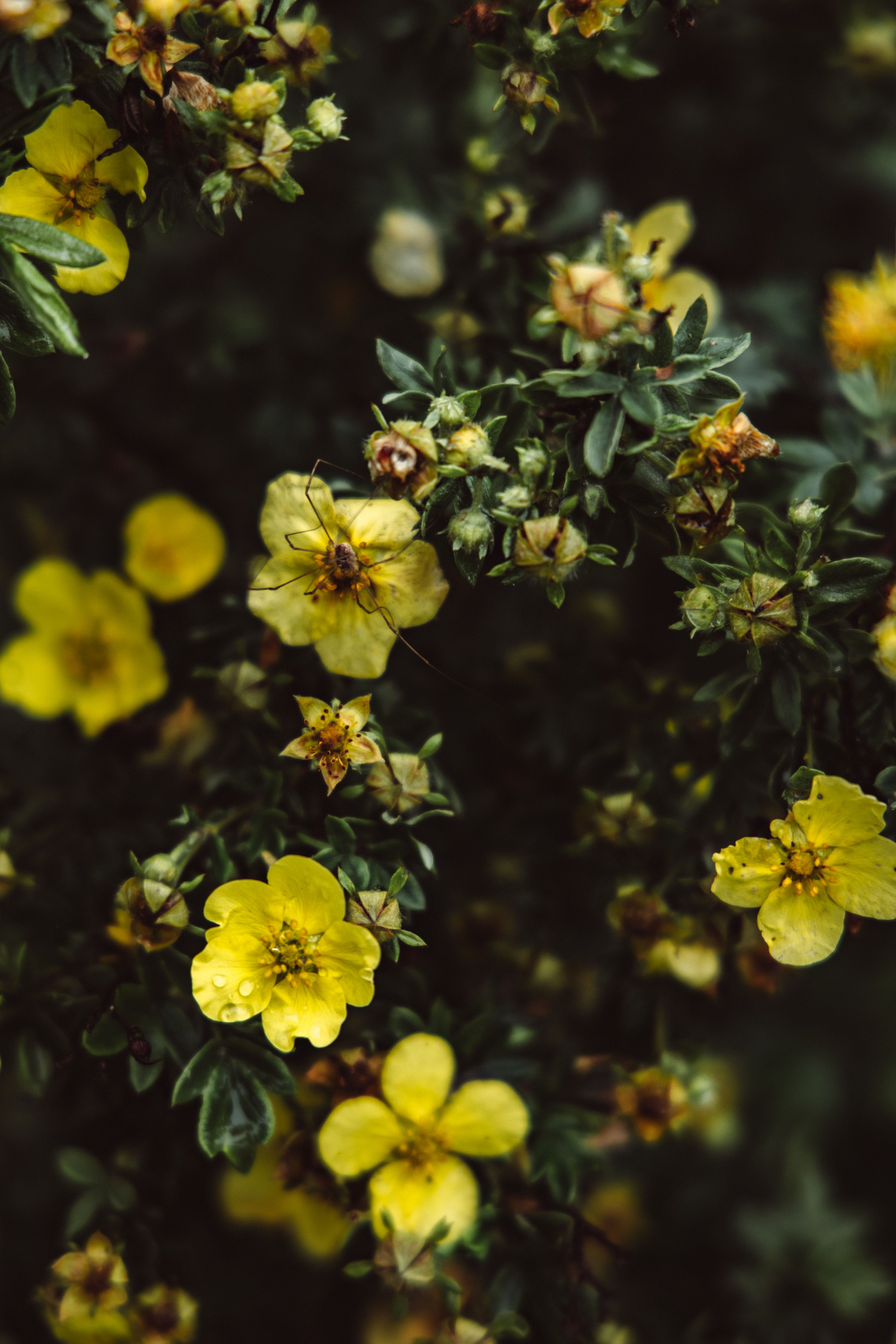 Real Growth Happens Photos, Download The BEST Free Real Growth Happens ...