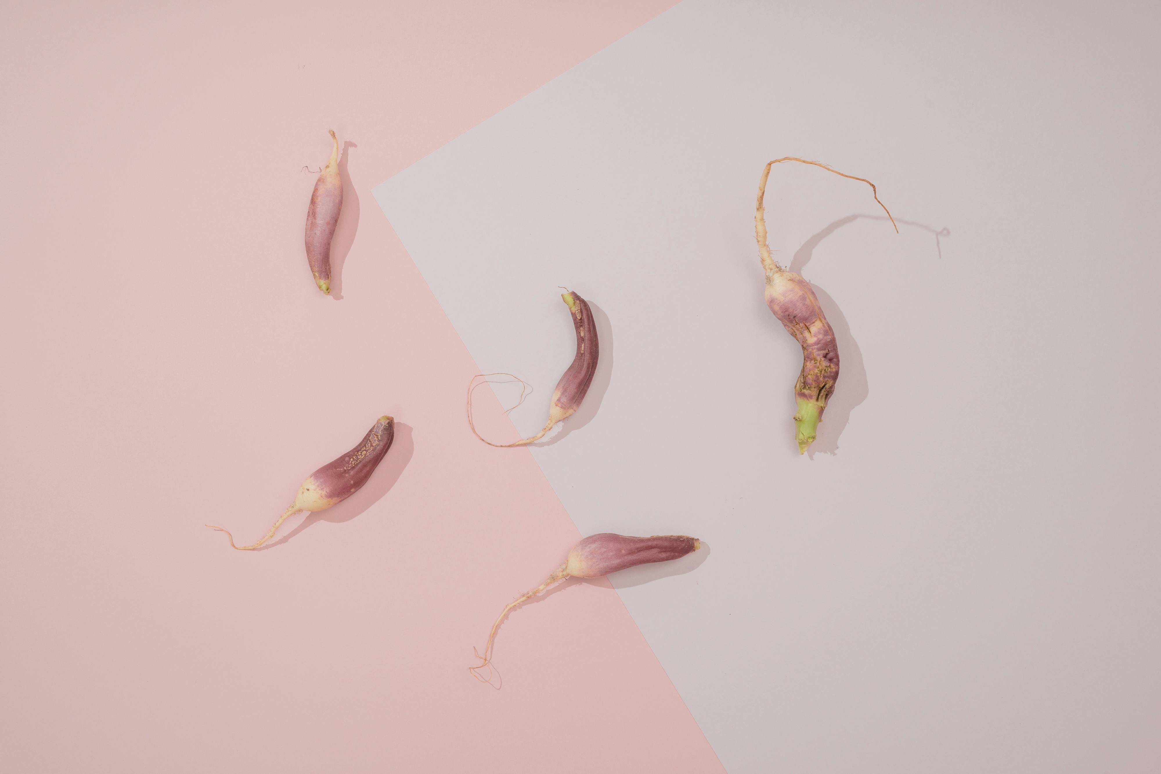 Five Radish on Pink Background · Free Stock Photo