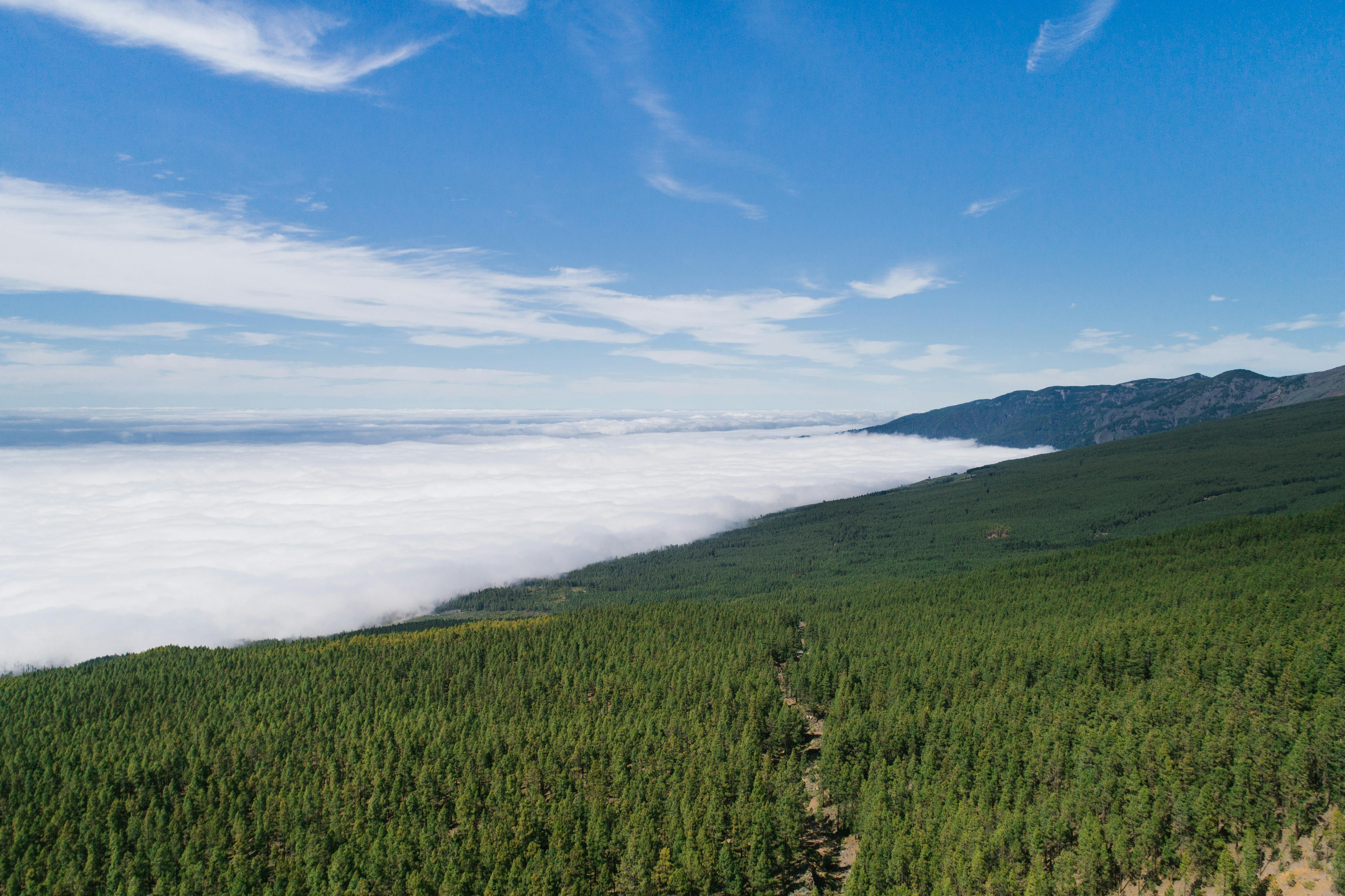 Scenic Landscape against the Sky · Free Stock Photo