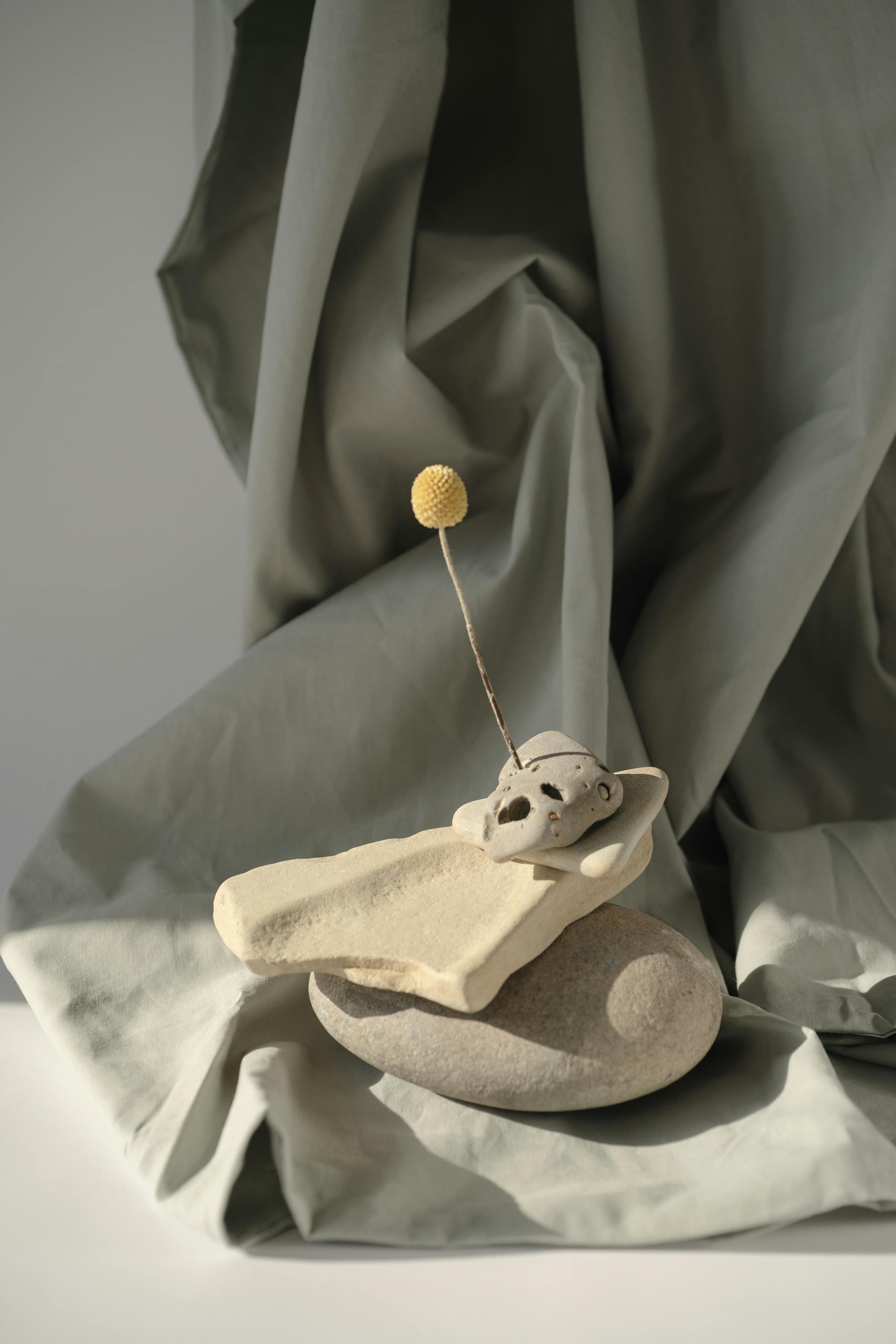 Dried Pycnosorus Flower on Stack of Stones · Free Stock Photo