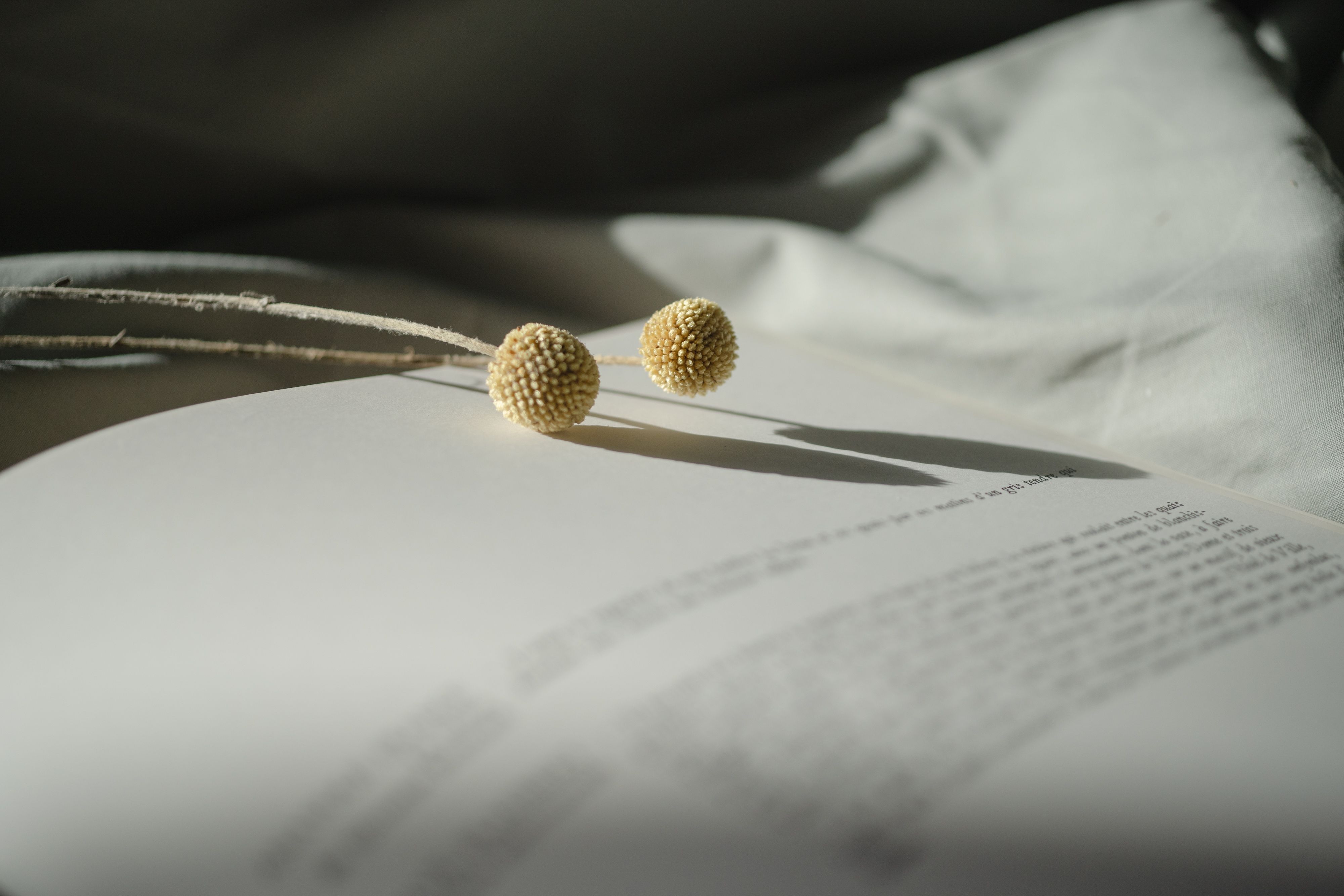 600.000+ Classic Book Page Background Bilder und Fotos · Kostenlos ...