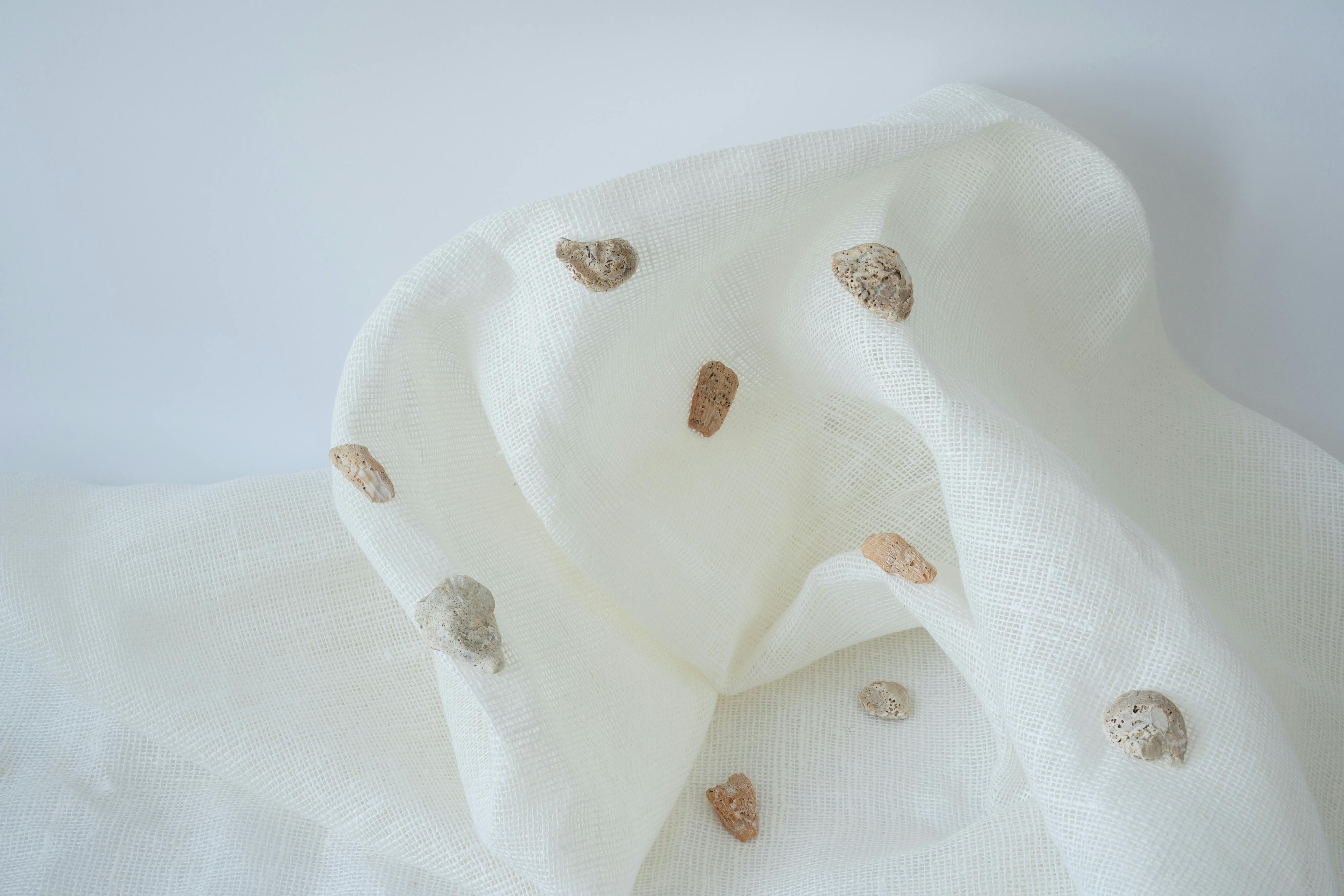 Seashells on White Woven Cloth · Free Stock Photo
