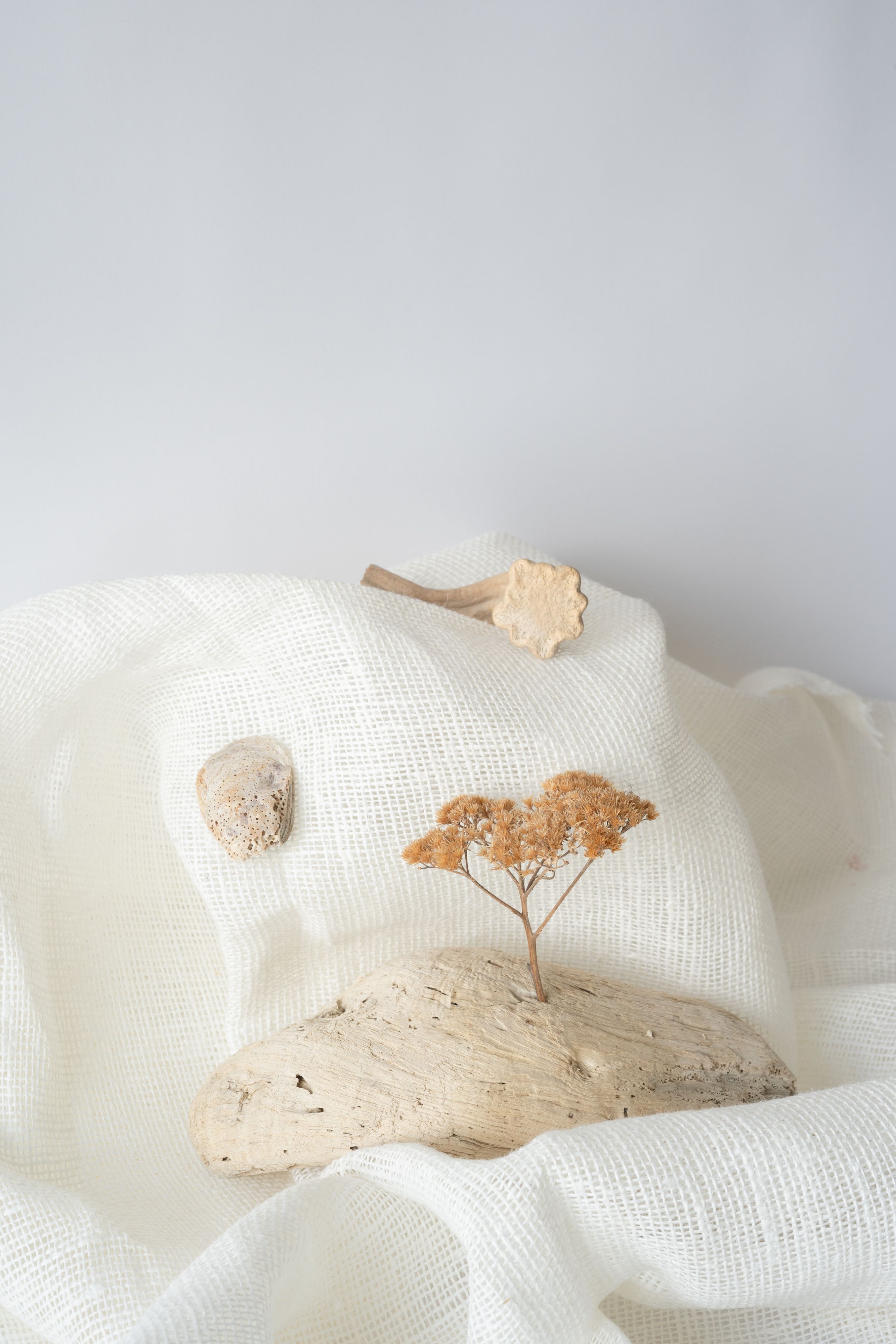 Ceramic Objects on a White Background · Free Stock Photo